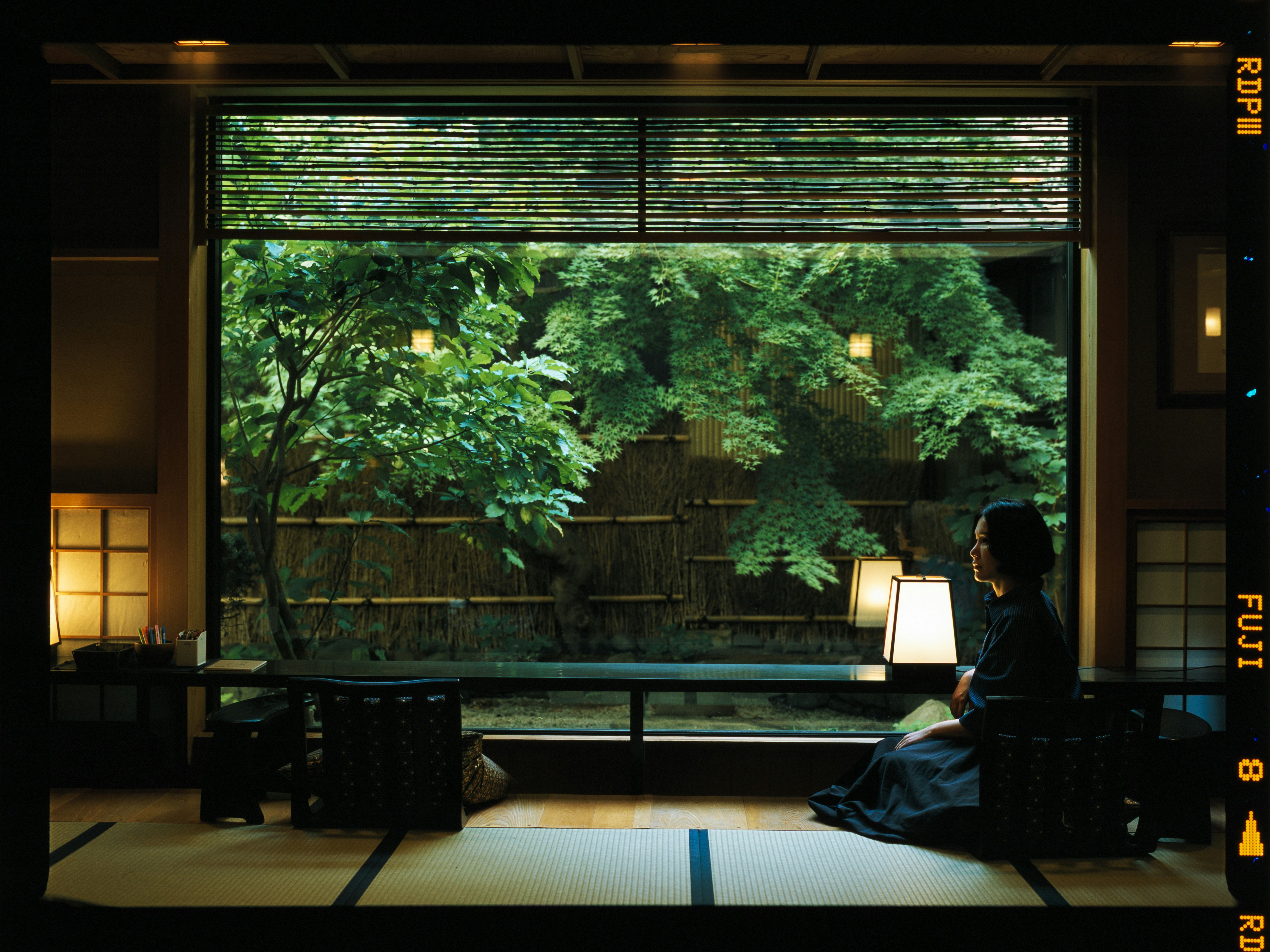 Quiet Garden Through Shoji: A Seated Figure in Ambient Inside Light