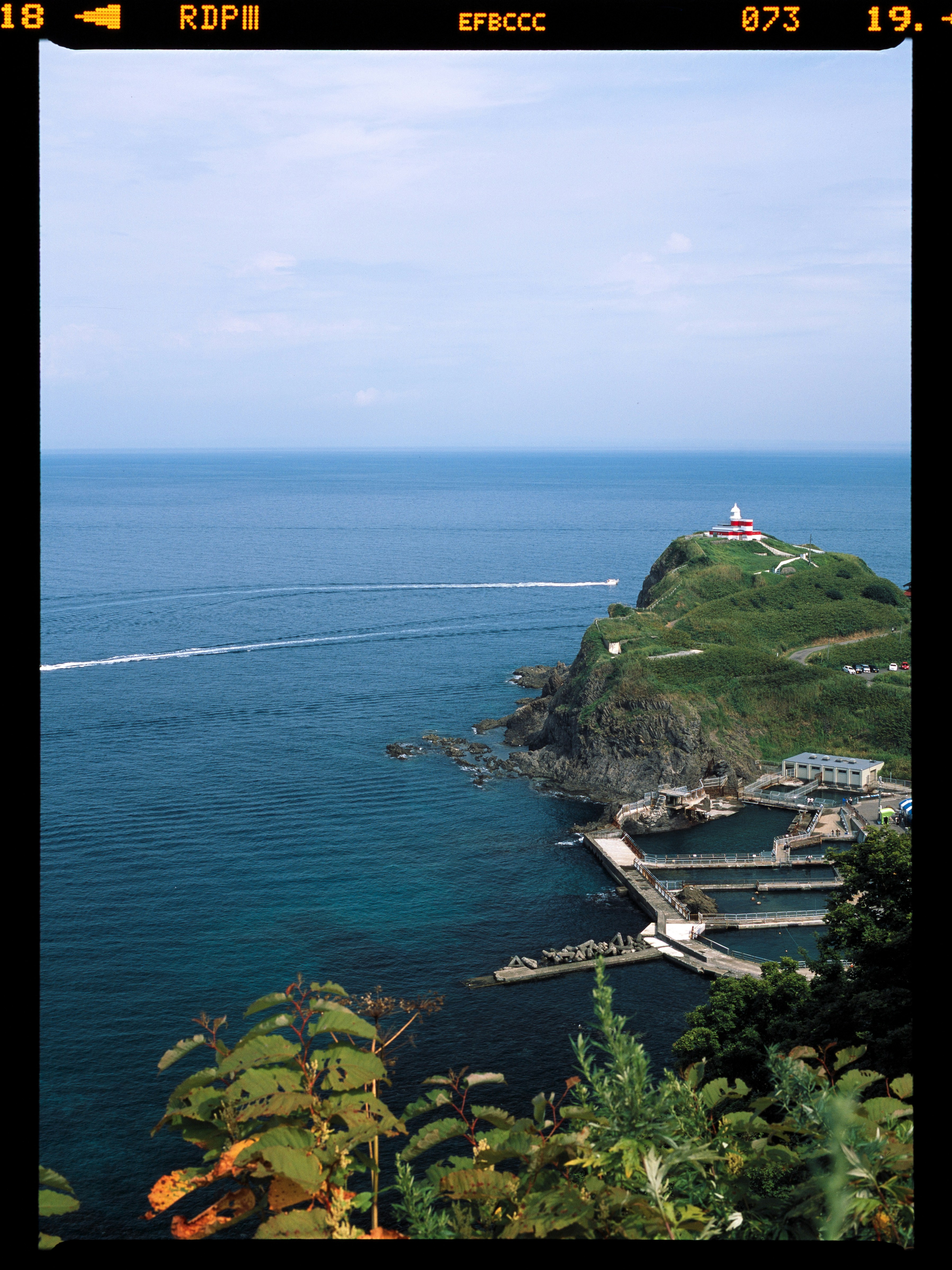 Lighthouse Overlook: Sea Cliff and Harbor at Dusk