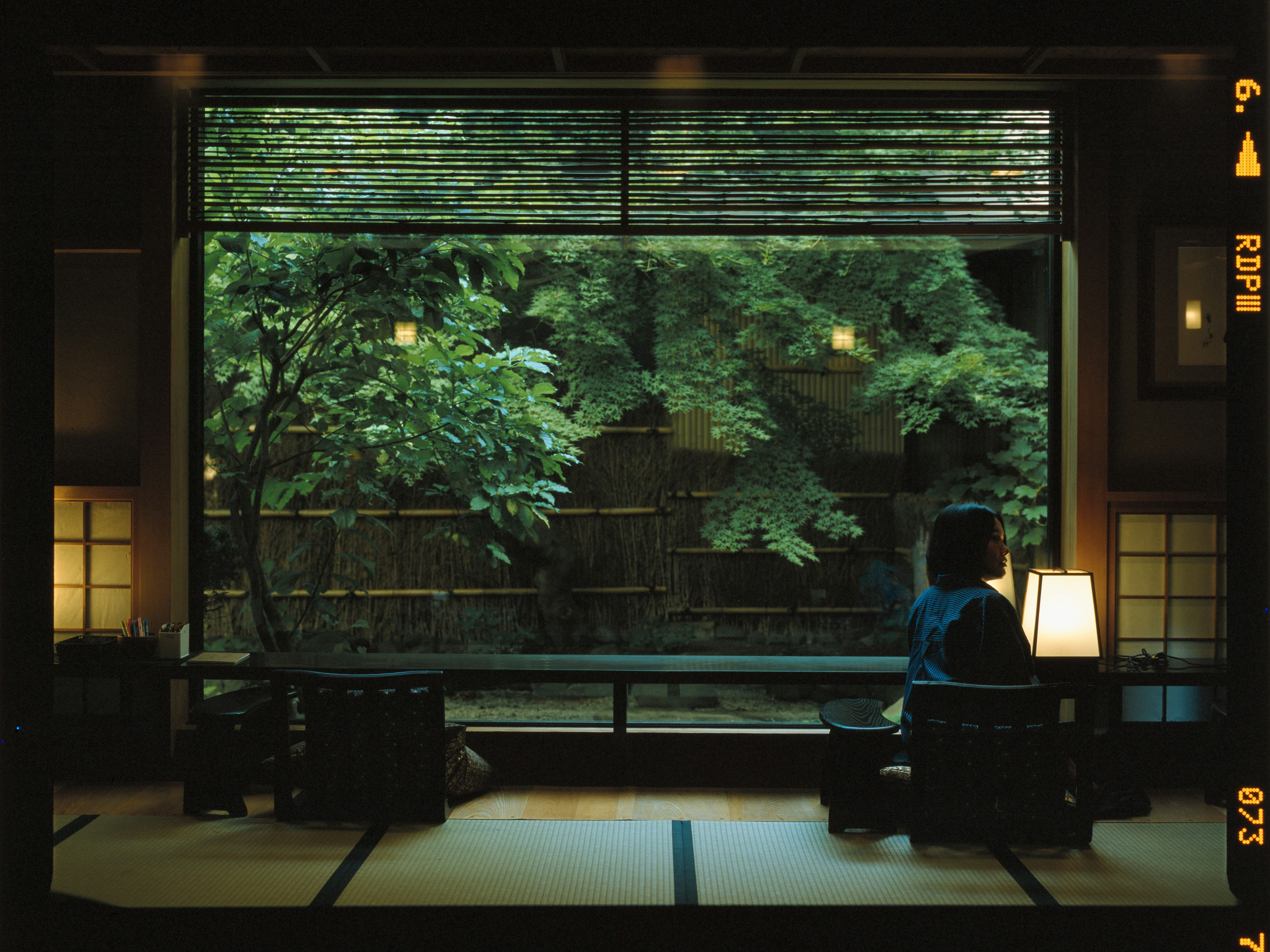 Quiet Tea with a Garden View