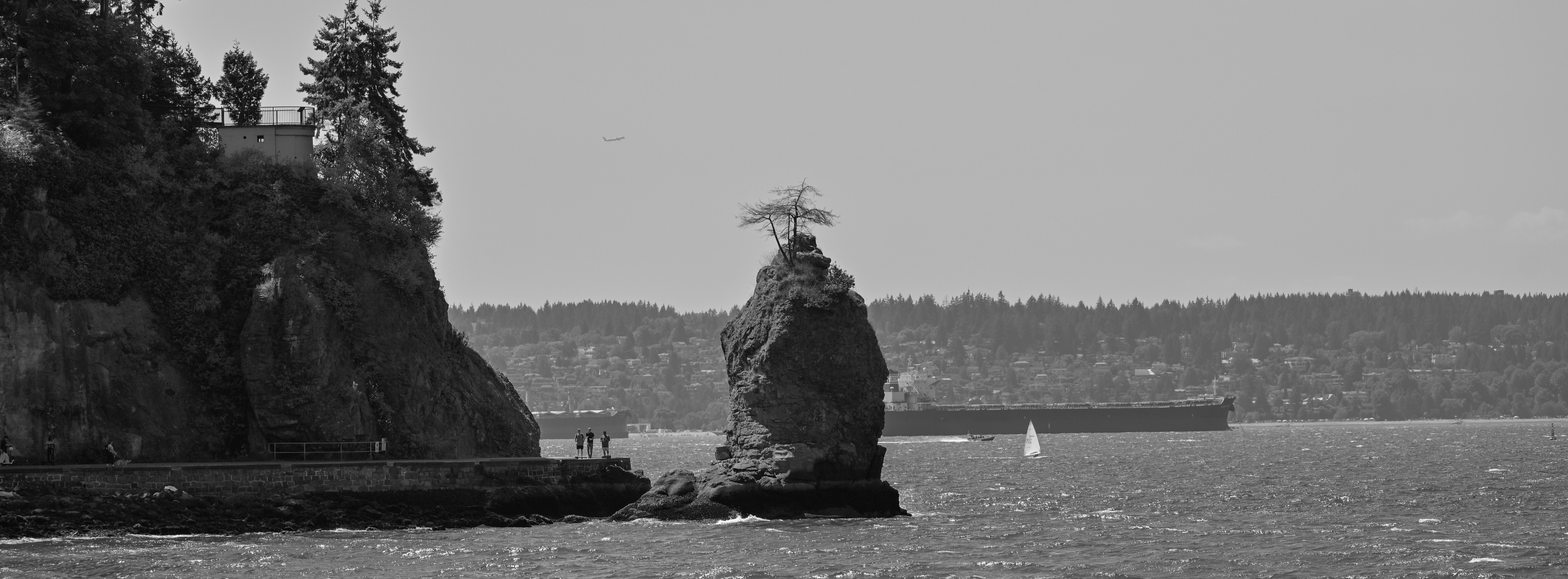 Still Sentinel: A lone pine atop a sea-sheltered rock