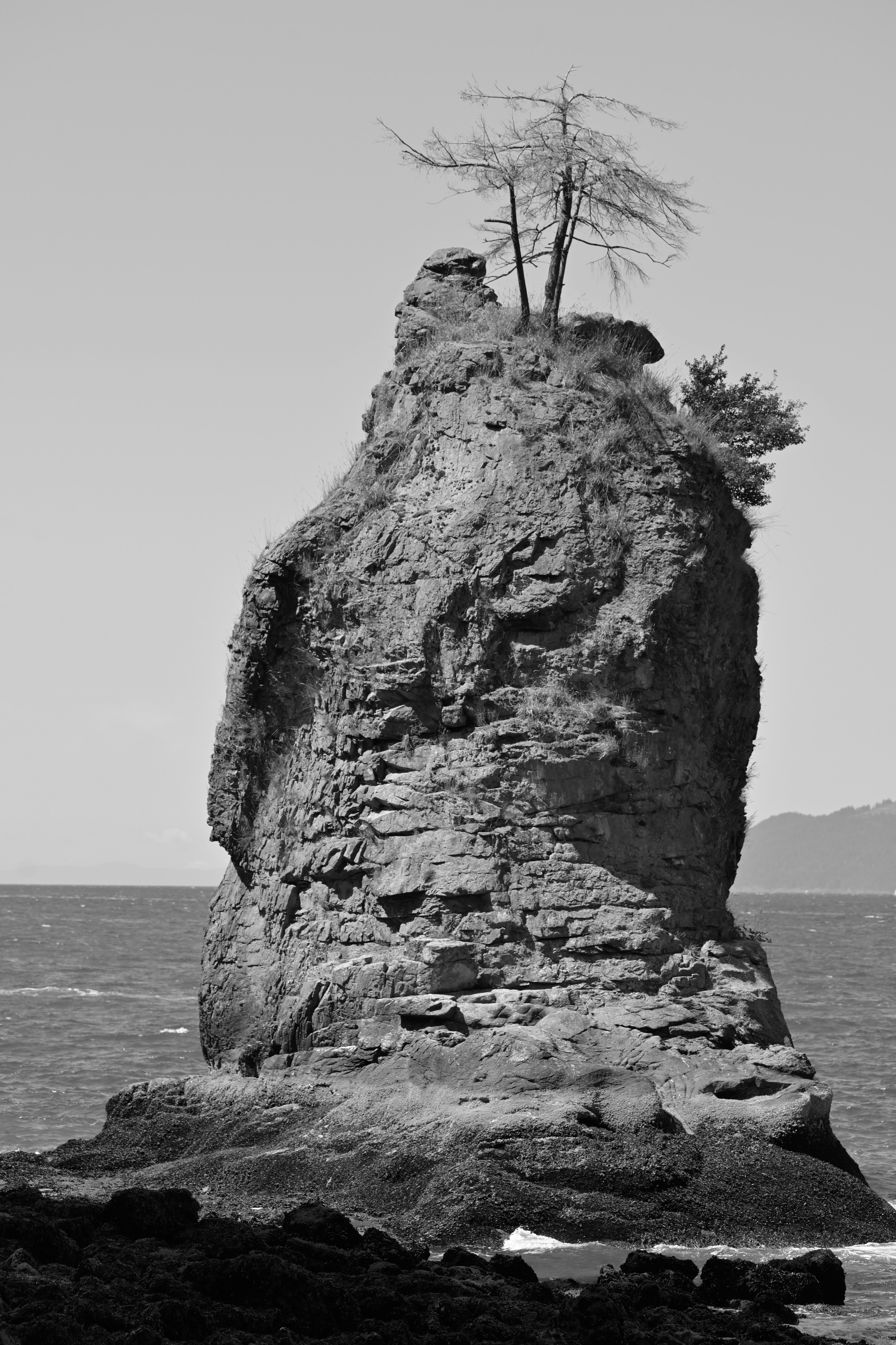 Lone Sea Rock crowned with Trees against a Quiet Horizon