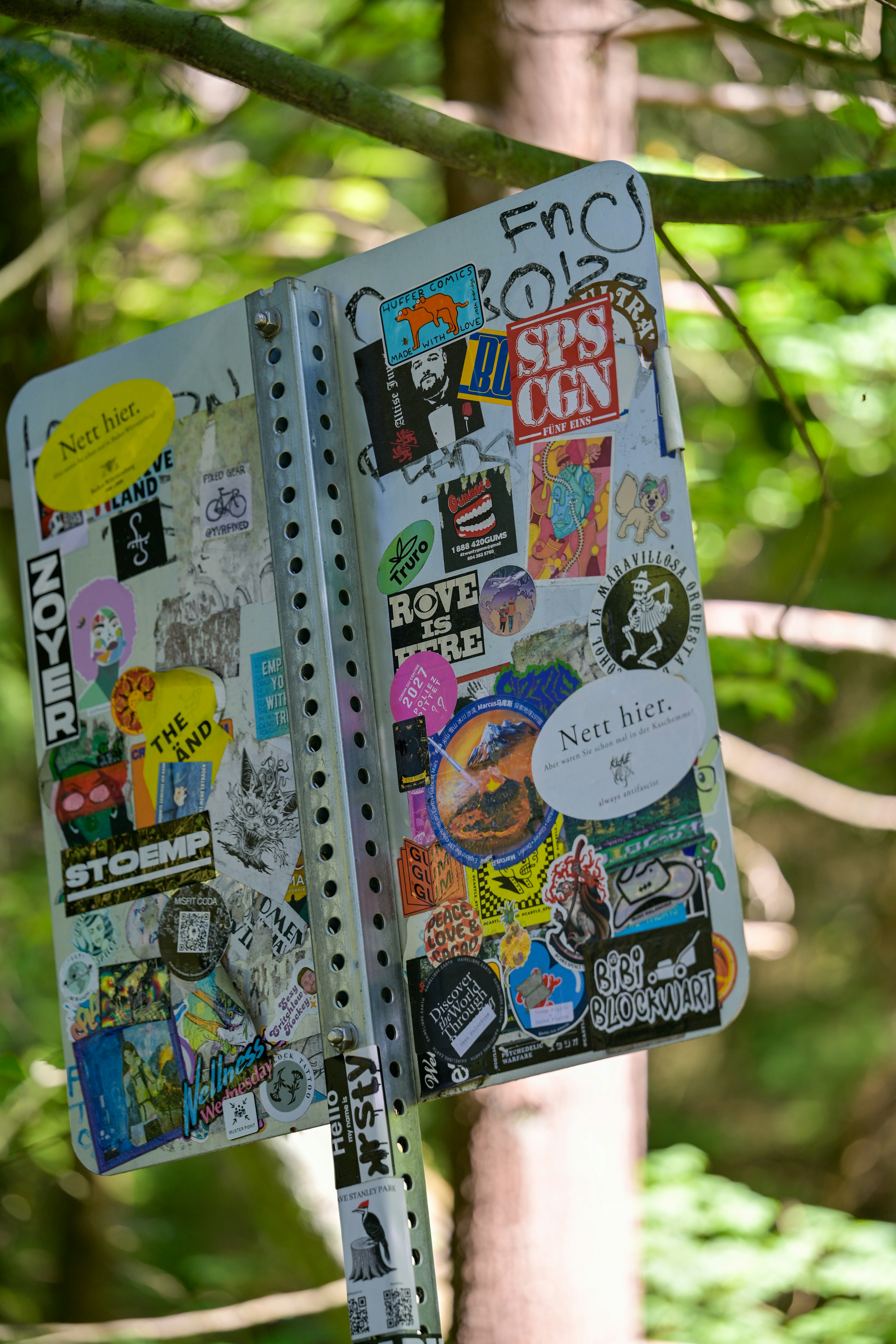 Stickered Notebook in a Sunlit Forest