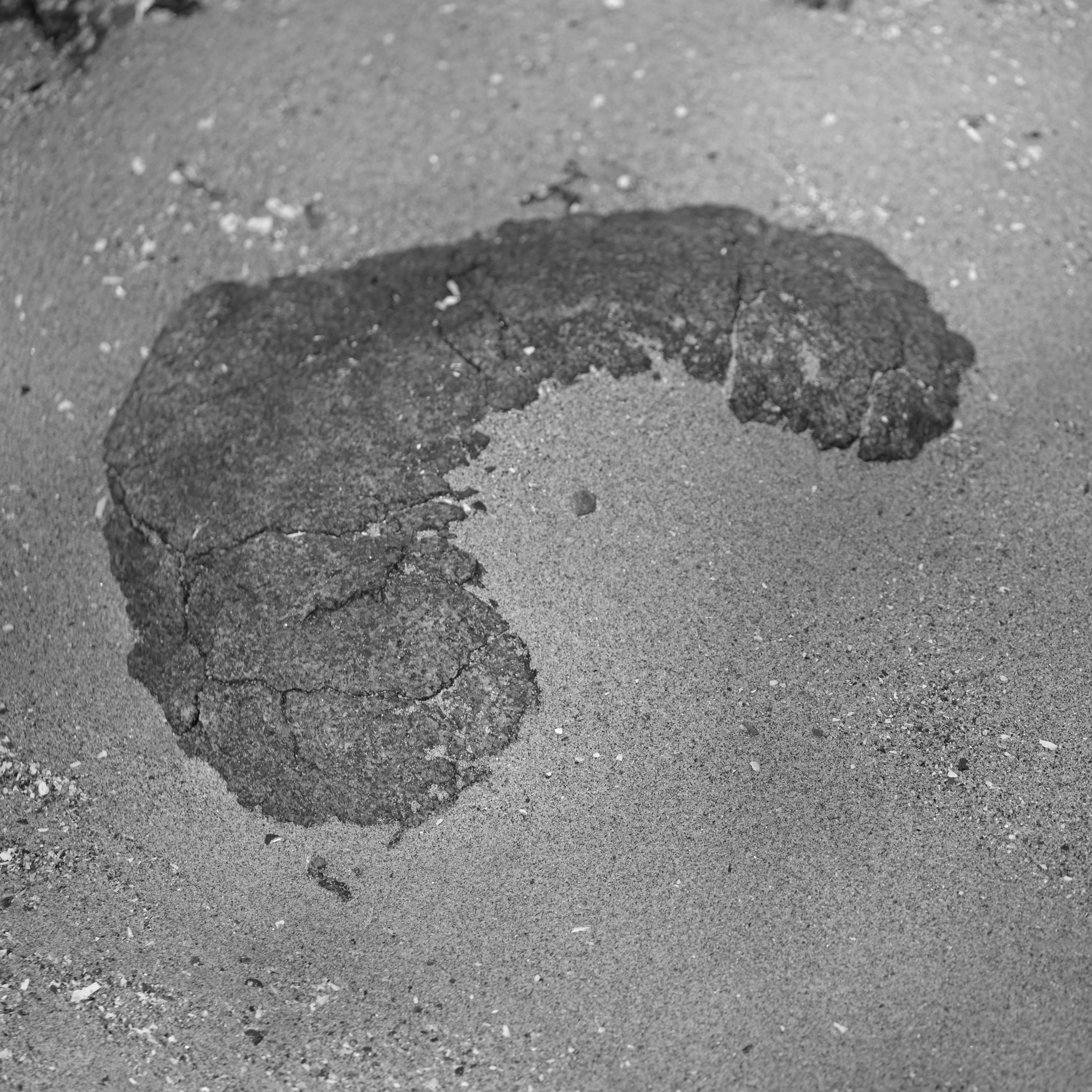 Curved Rock Vestige: A Silhouette on Shifting Sands