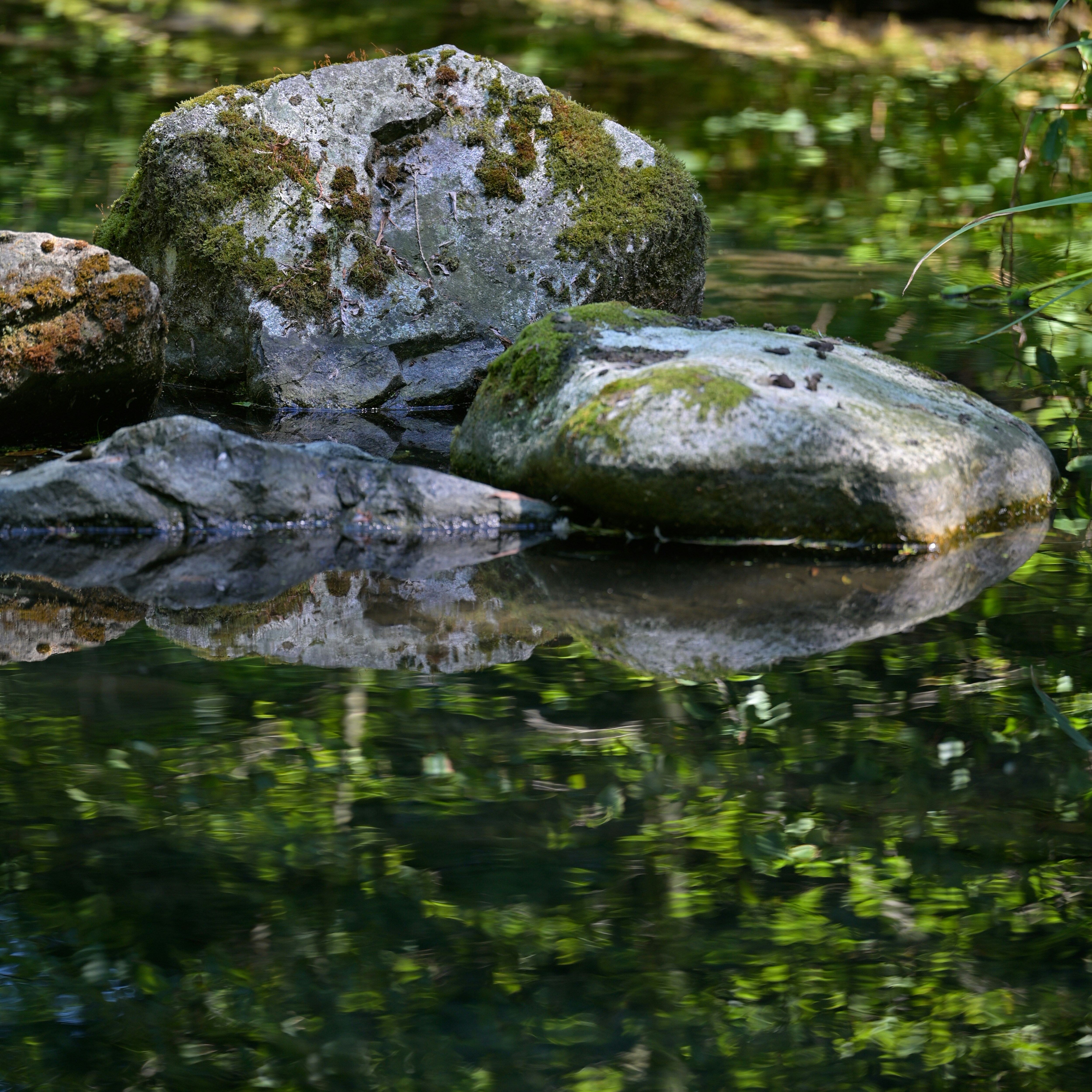 Quiet Stones and Reflected Sky in a Shaded Pool