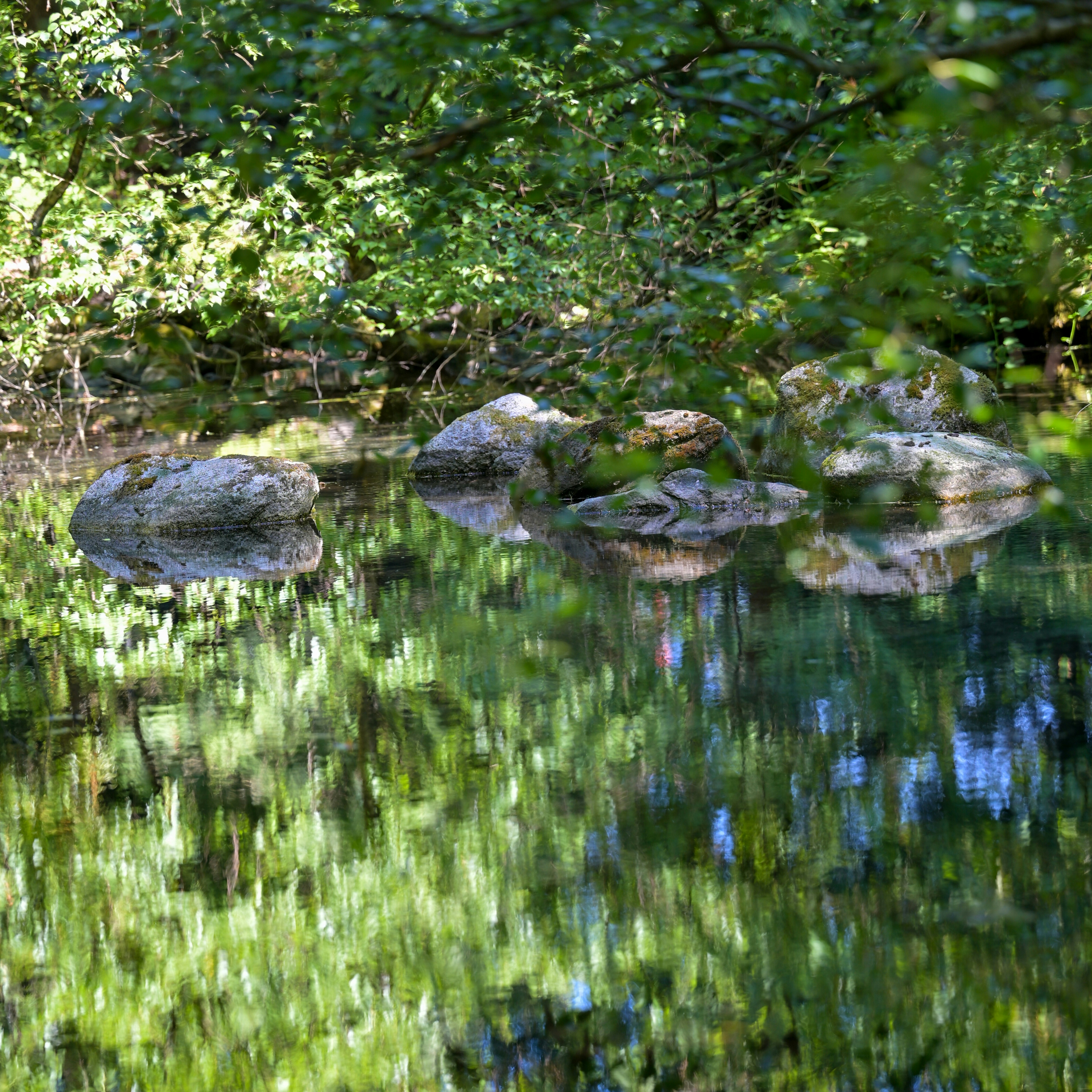 Whispering Stones in a Glassy Stream