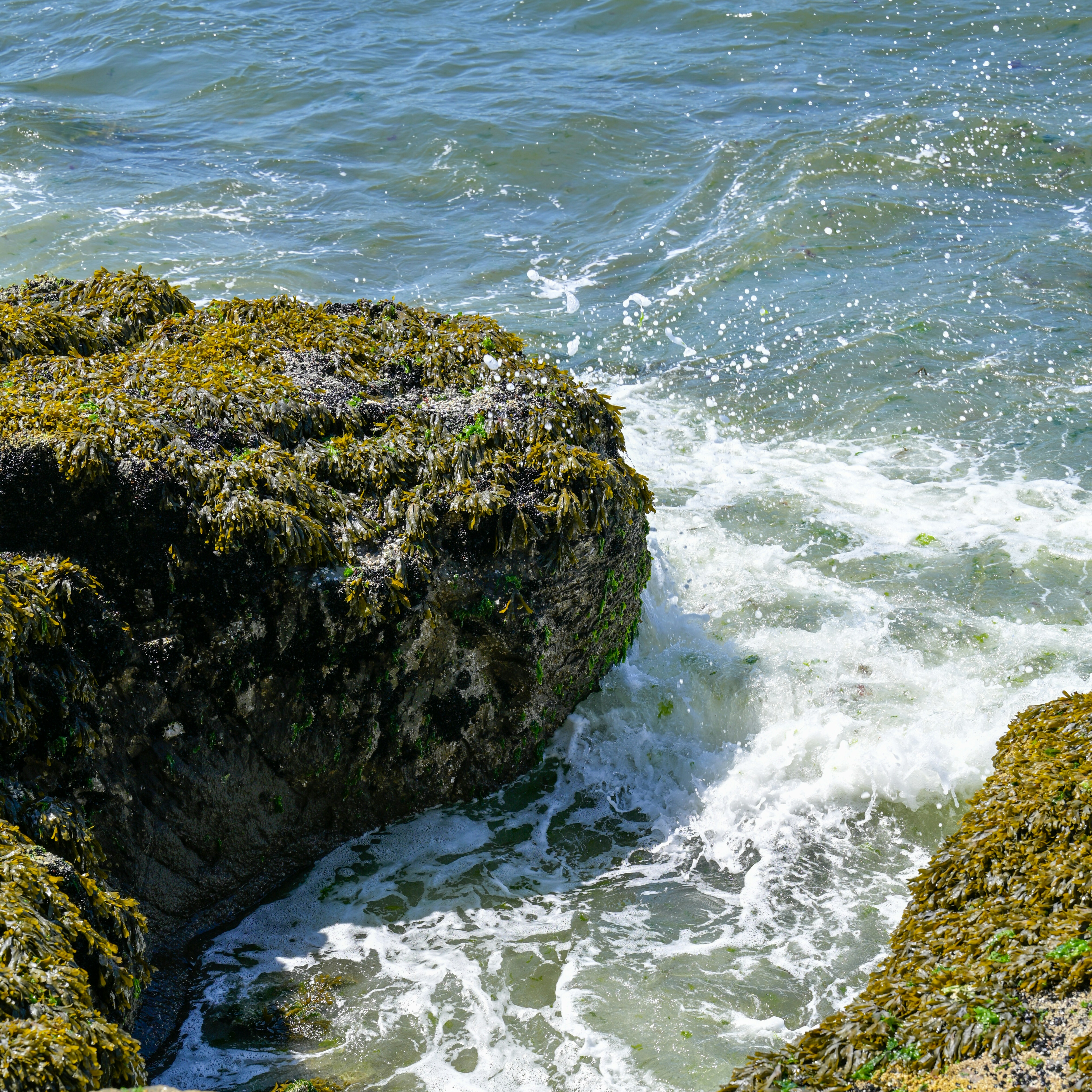 Coastal Rockscape: Foamy Surf at the Tidal Edge