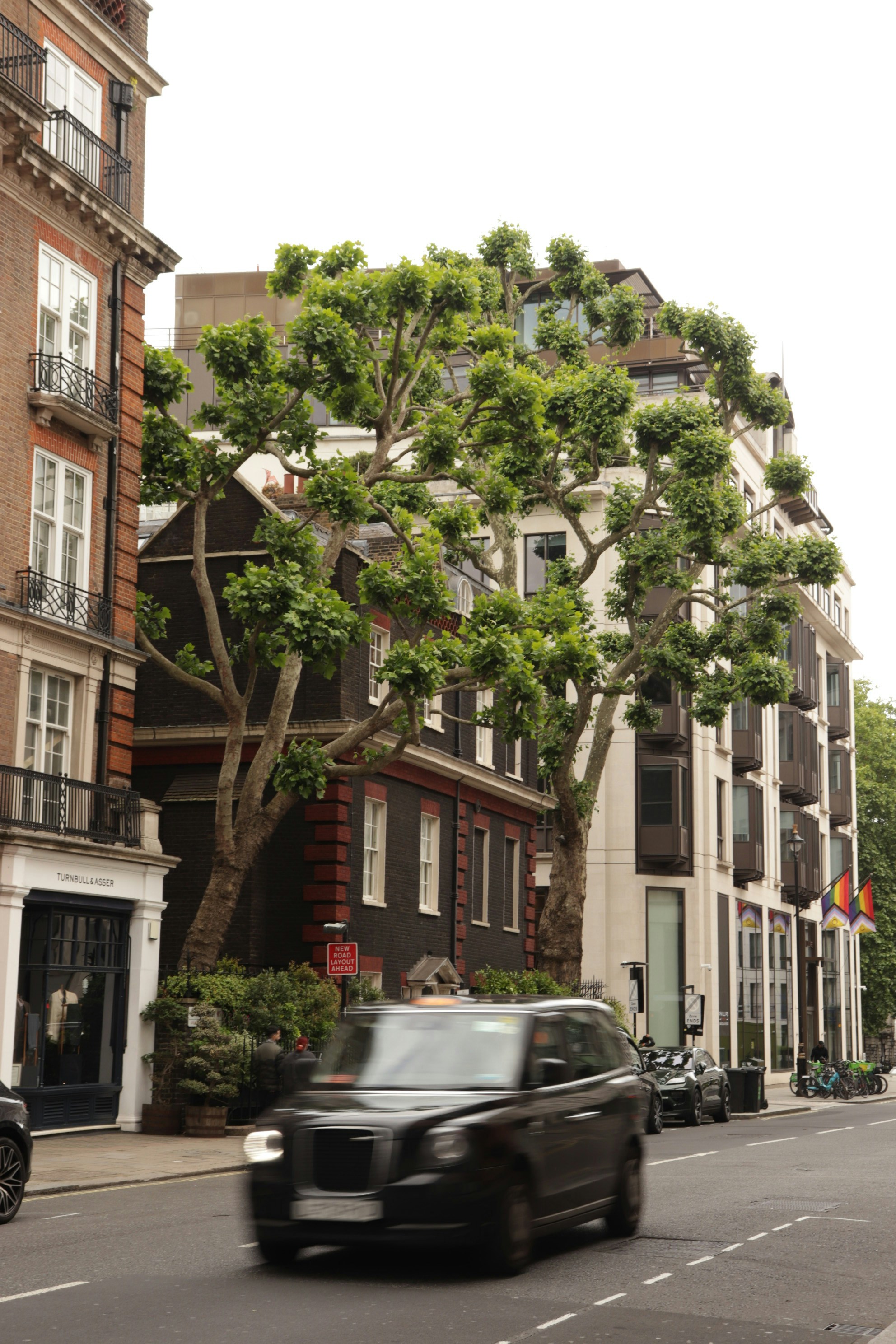 Urban Arcadia: Tree-Lined Facades and a Blurred Taxi in Motion
