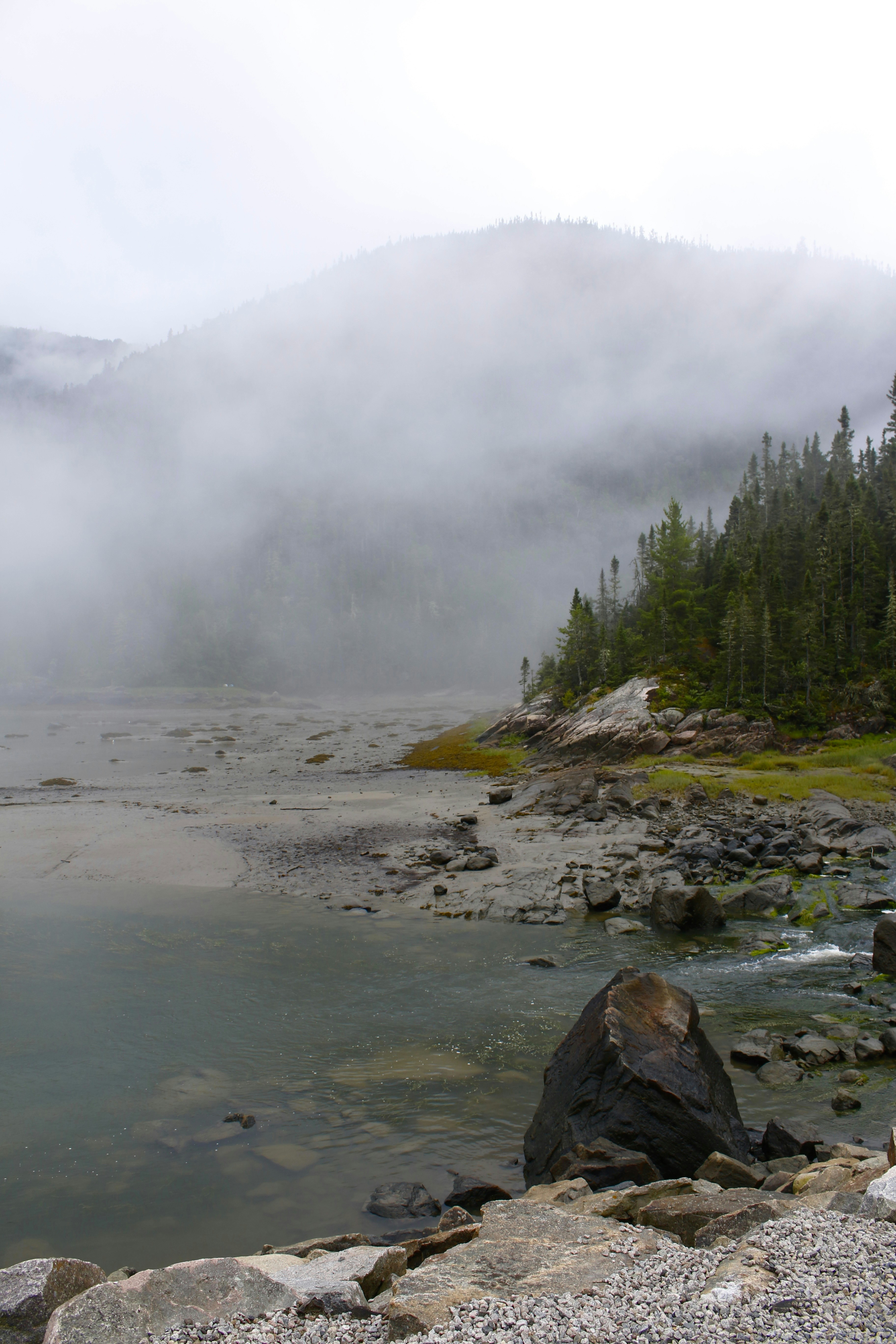 Mist over the rocky shoreline: forested hills emerging from fog