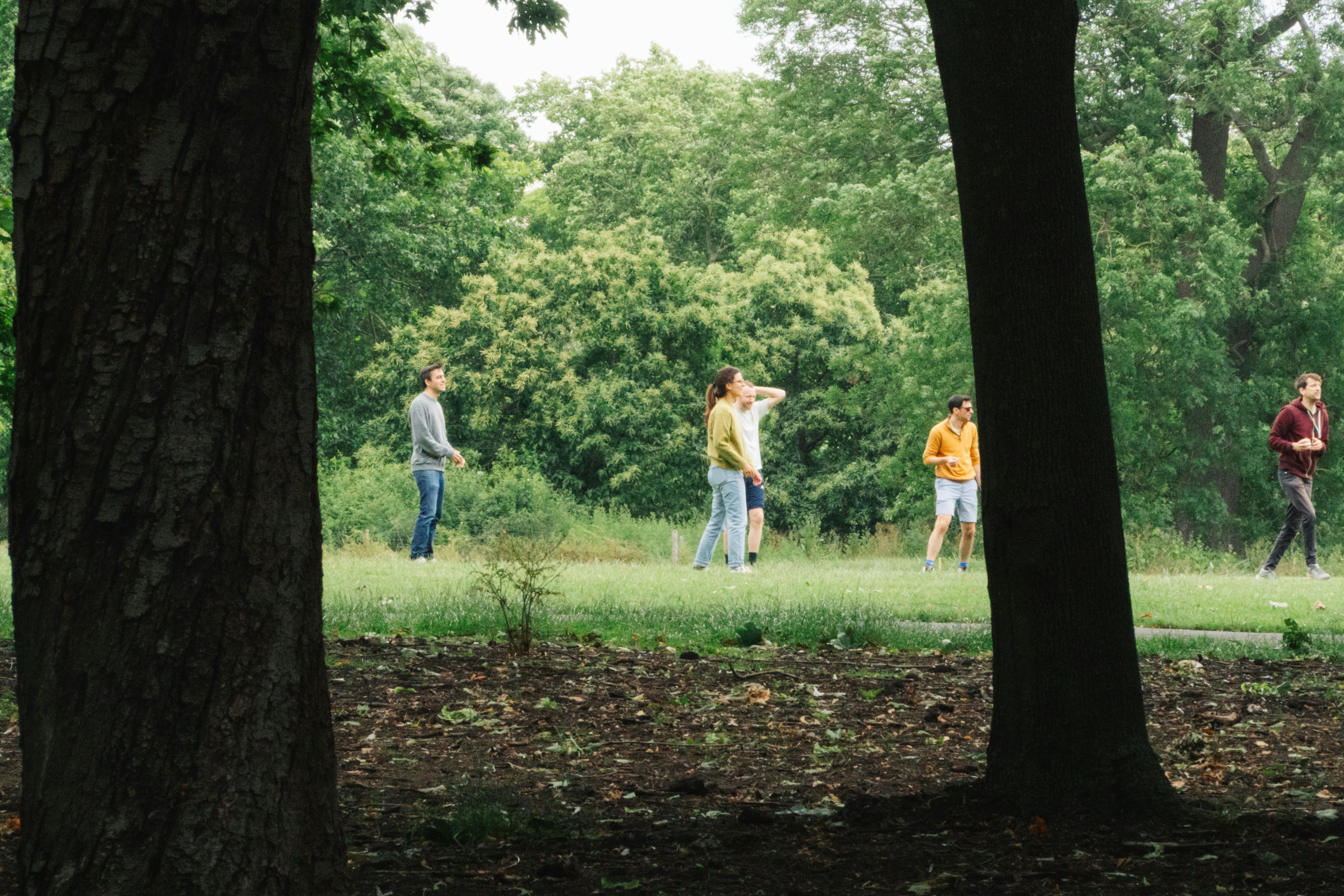 Parkgoers in Focus: A Bright Moment Among Trees