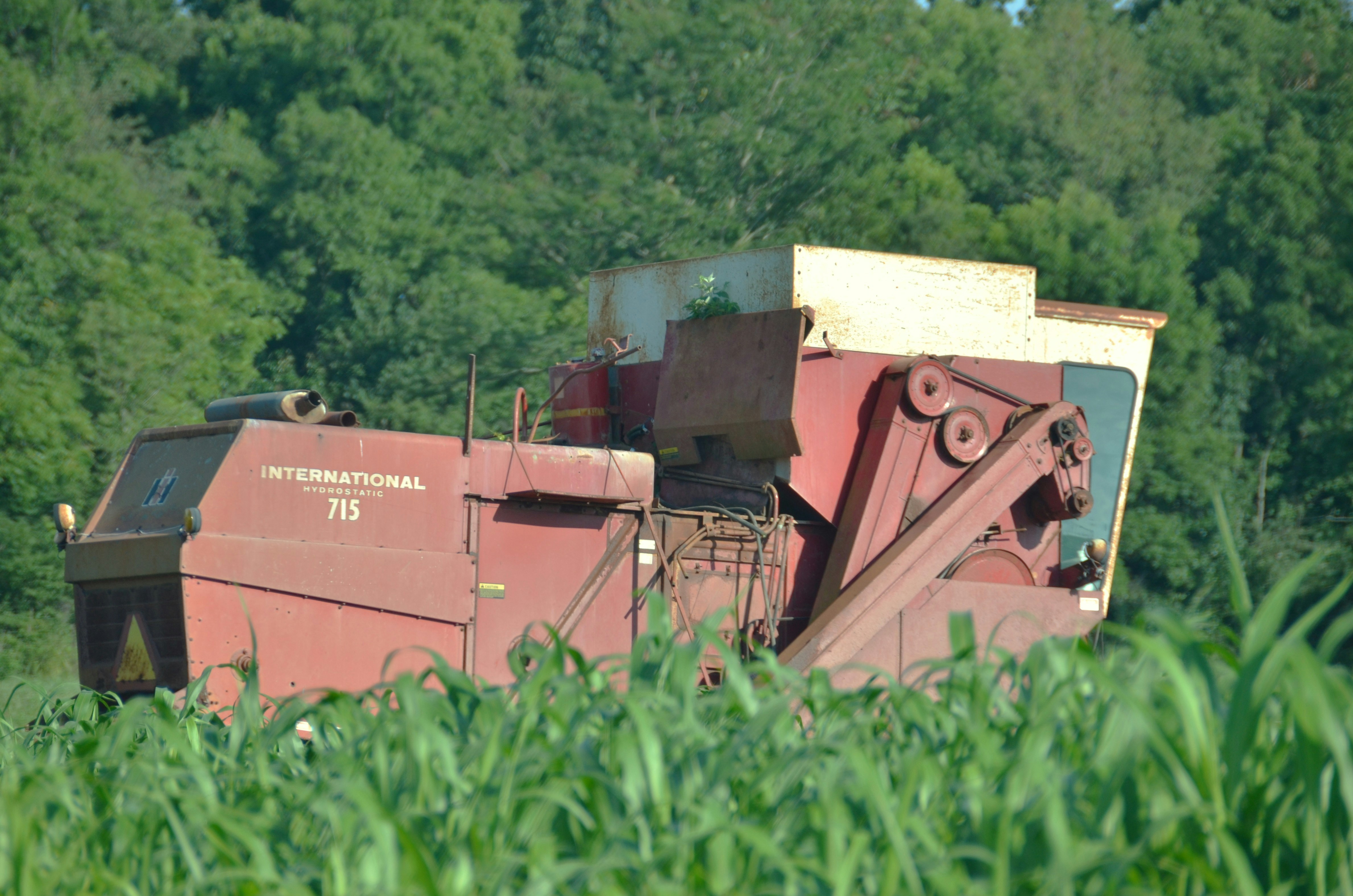 Overgrown Harvester in a Quiet Field
