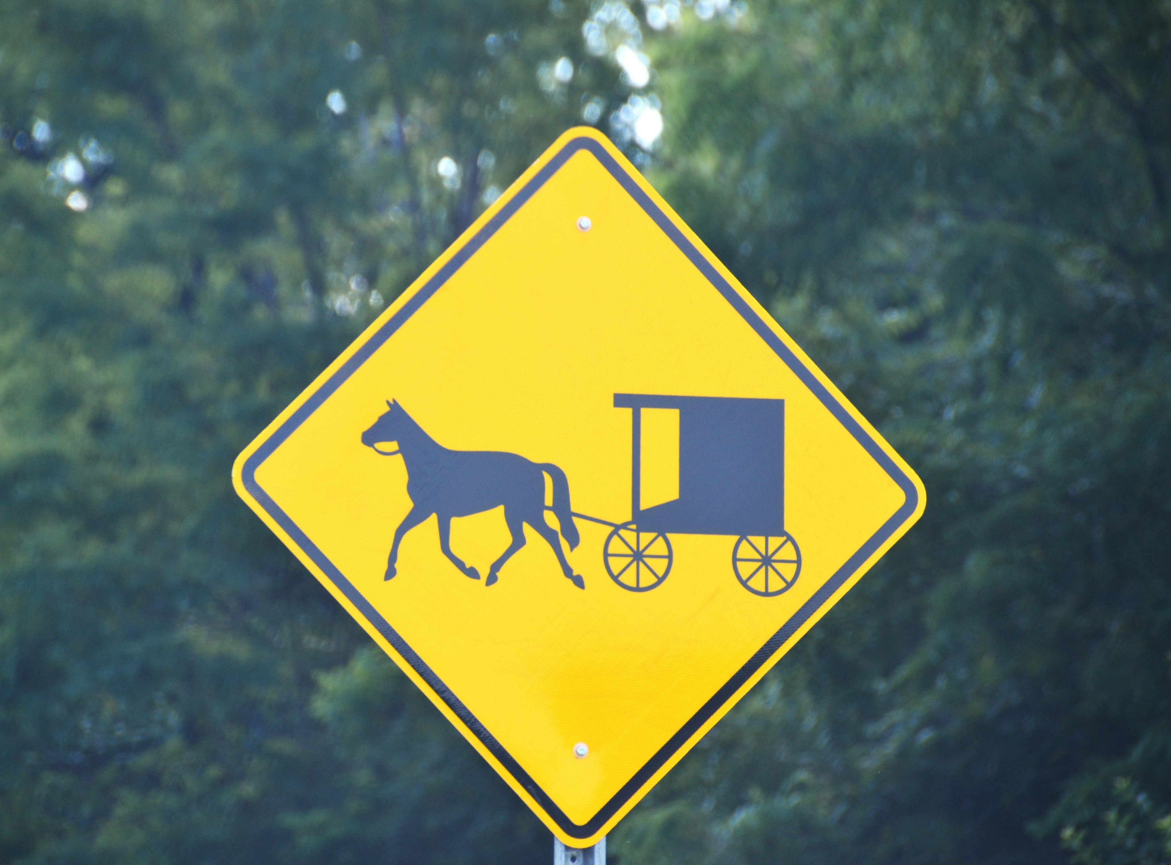 Warning Sign: Horse-Drawn Wagon Ahead on a Blurred Green Backdrop