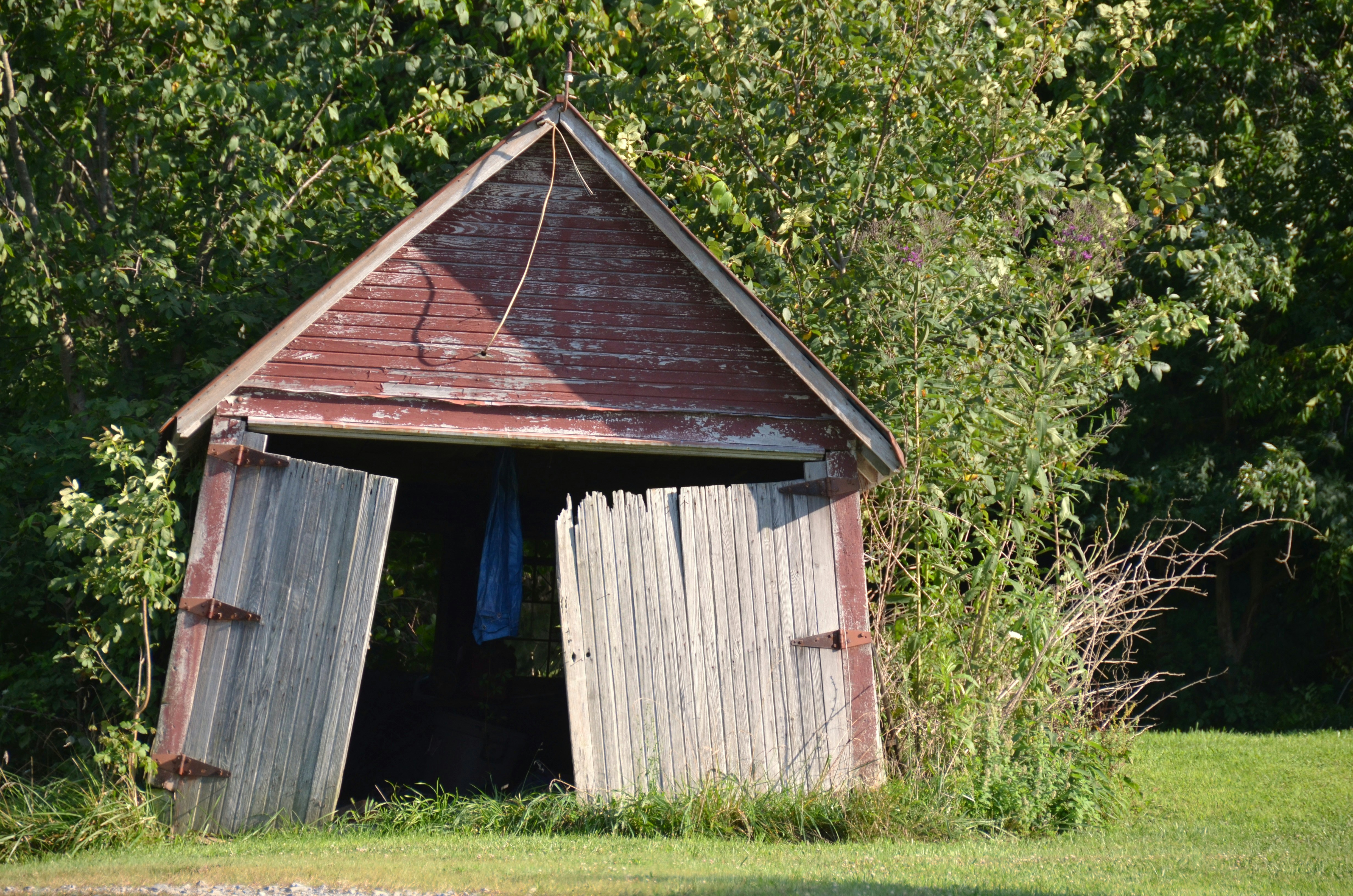 Weathered barn doorway yawns open to a sunlit meadow