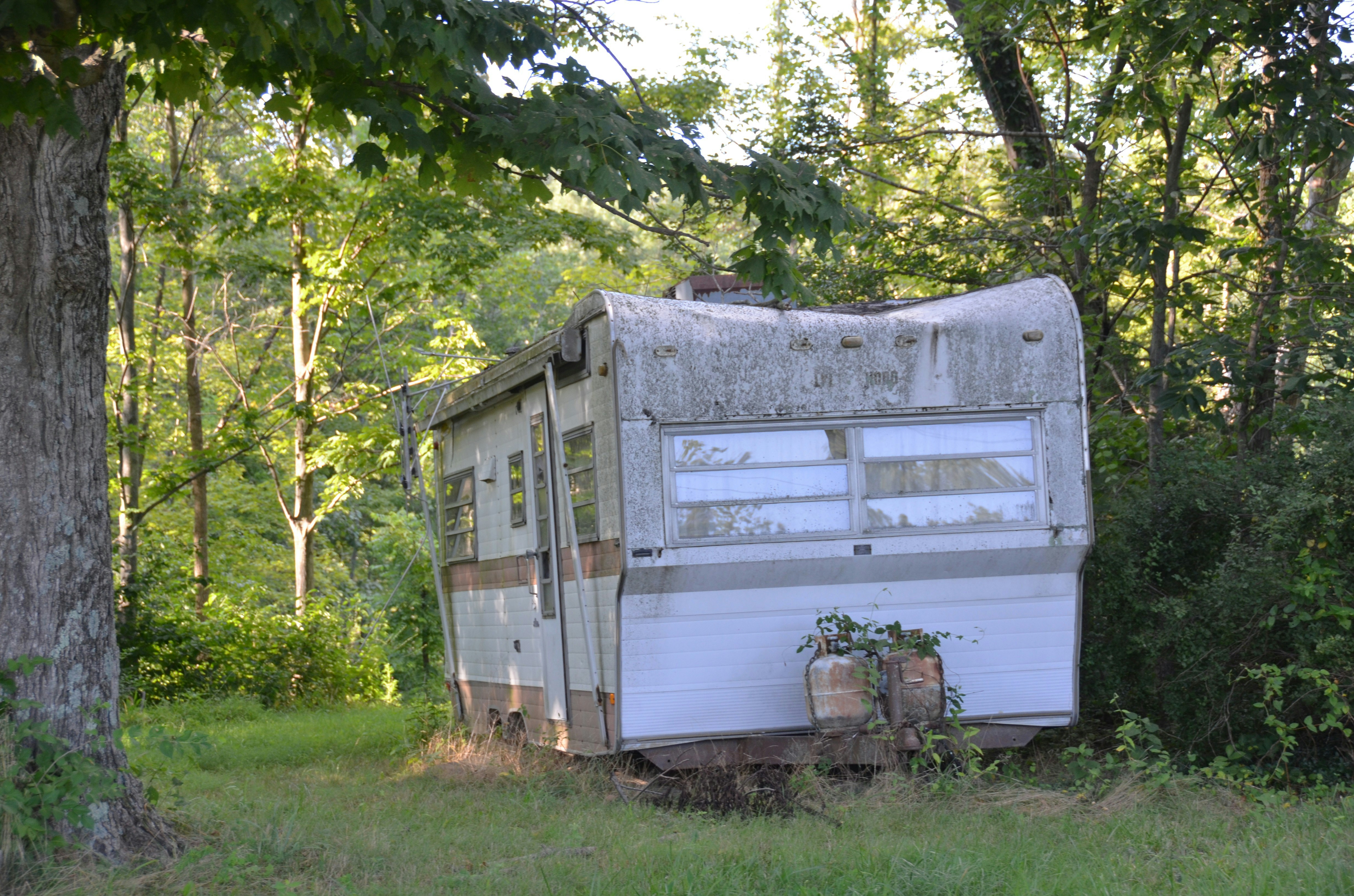 Abandoned Caravan Nestled Beneath Quiet Canopy
