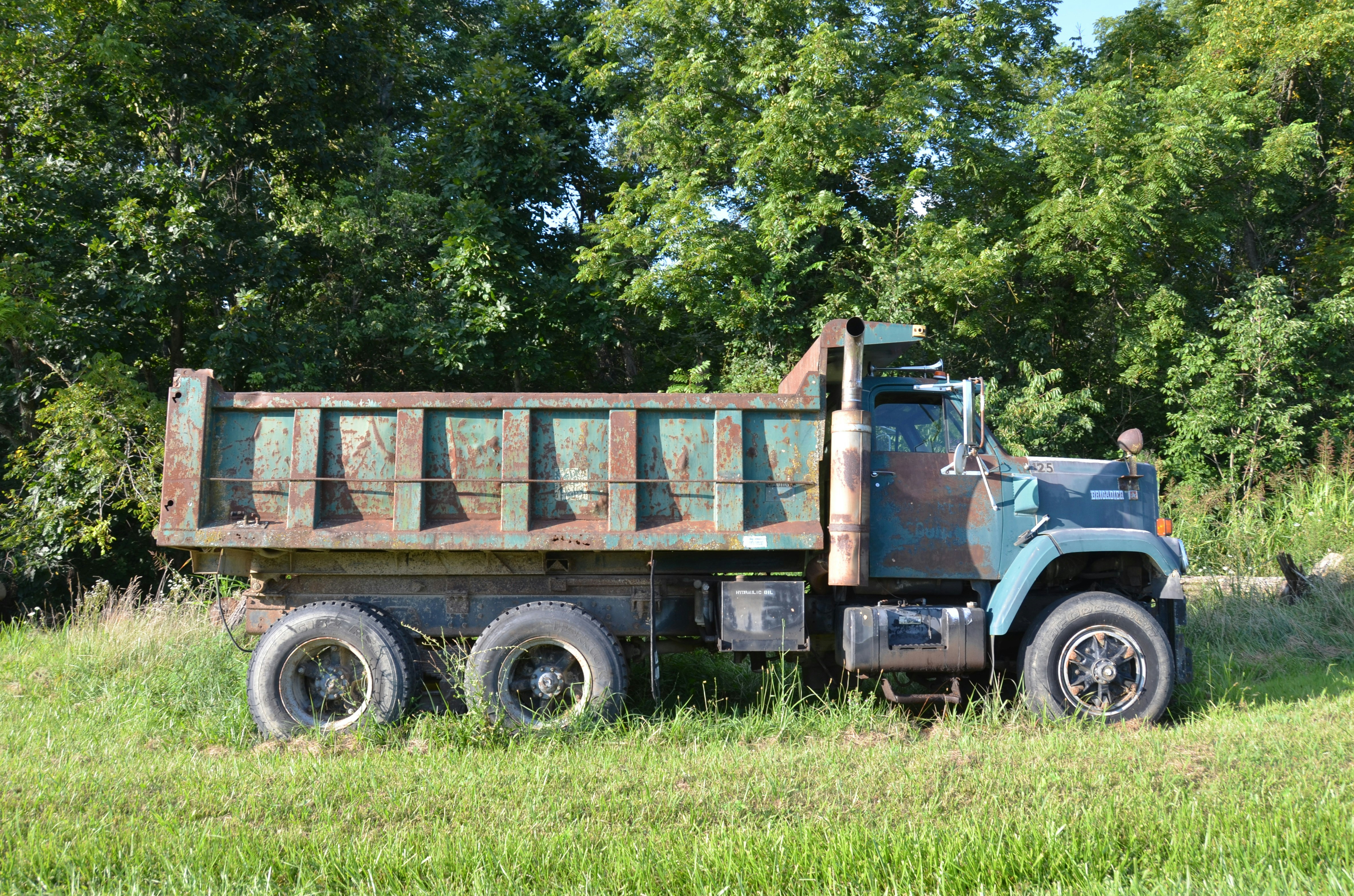 Rust-on-Wreen Dump Truck in a Green Clearing