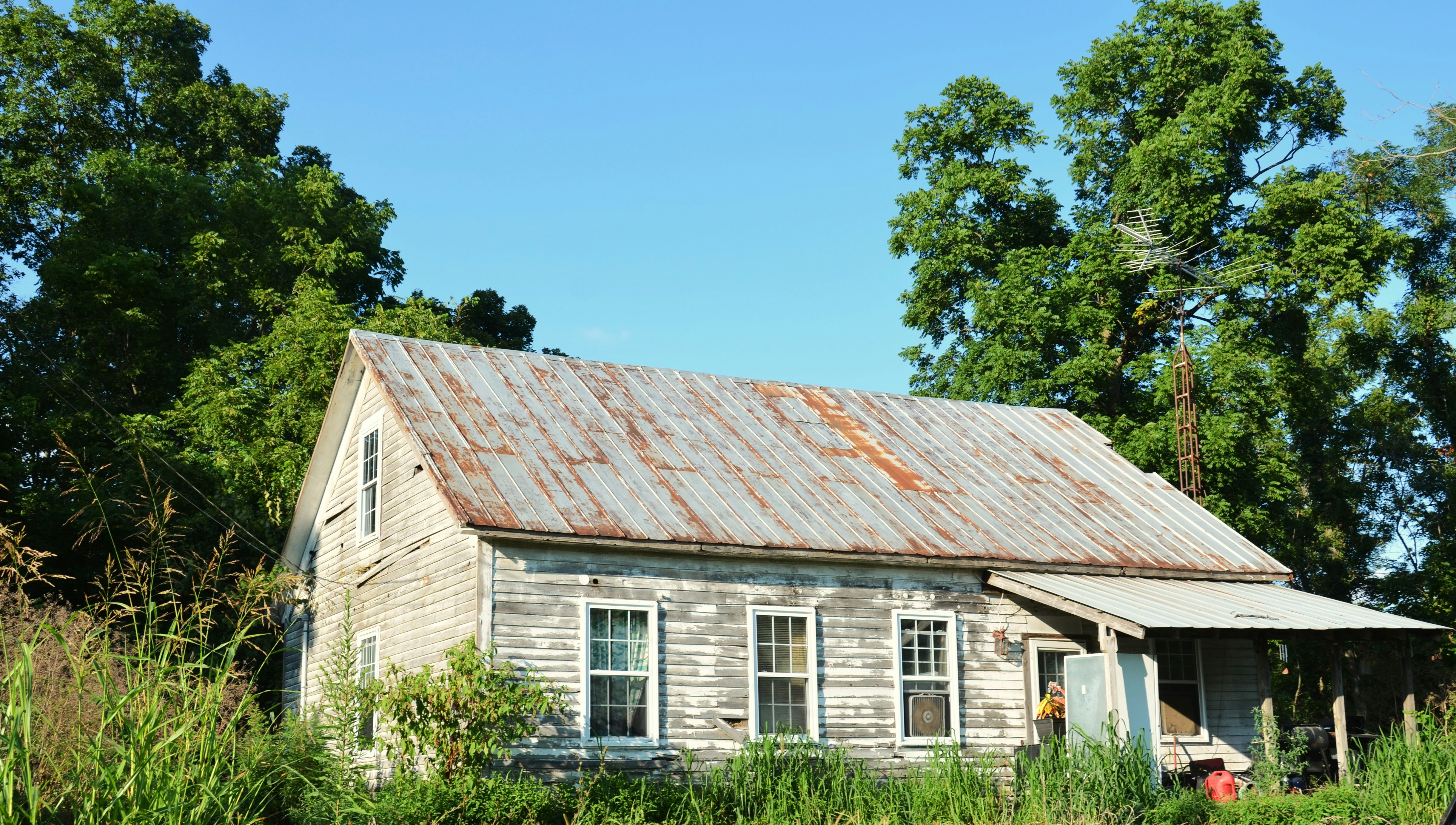 Rustic Orchard House Under a Clear Summer Sky