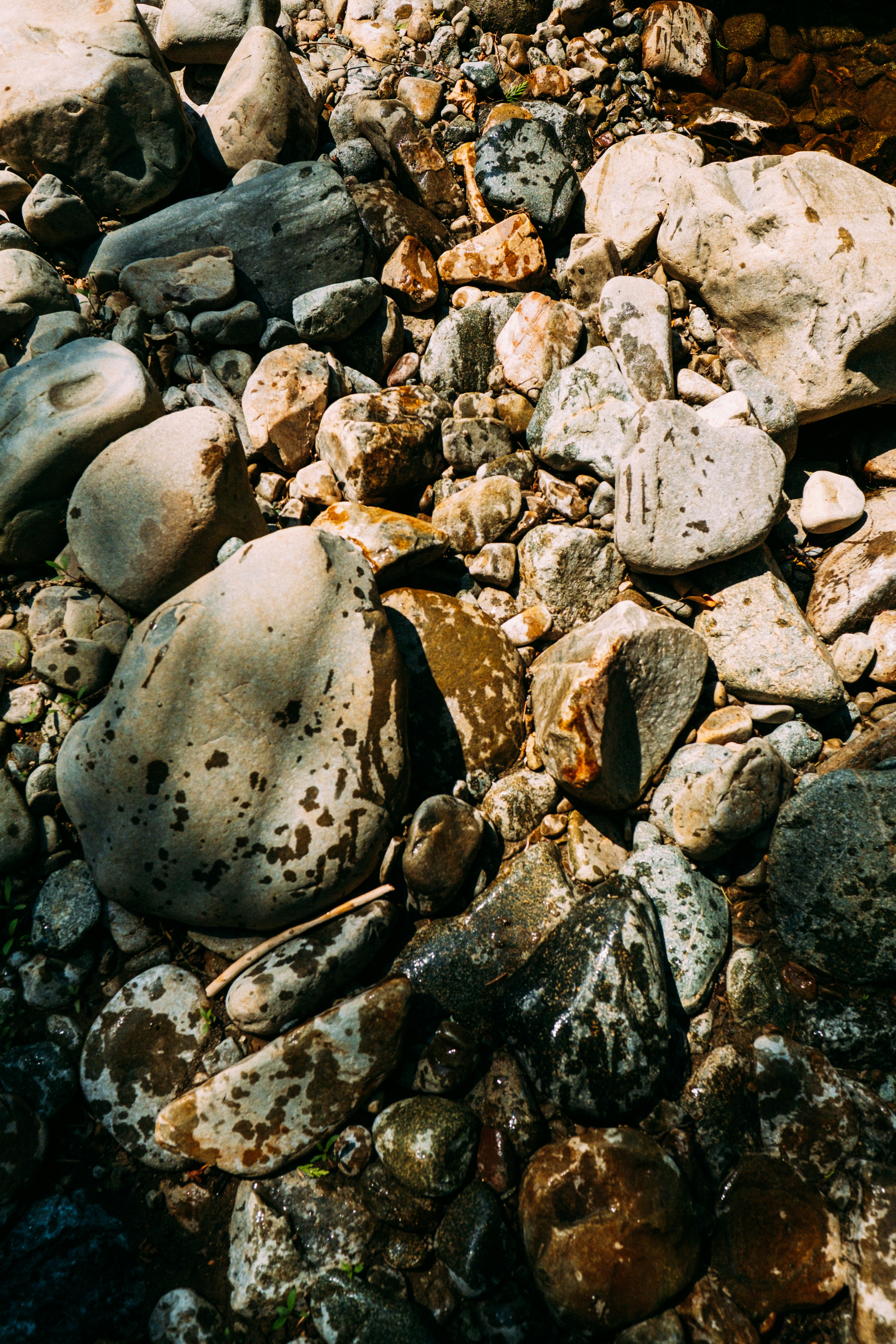 Pebble mosaic: sunlit stones sculpting the shoreline