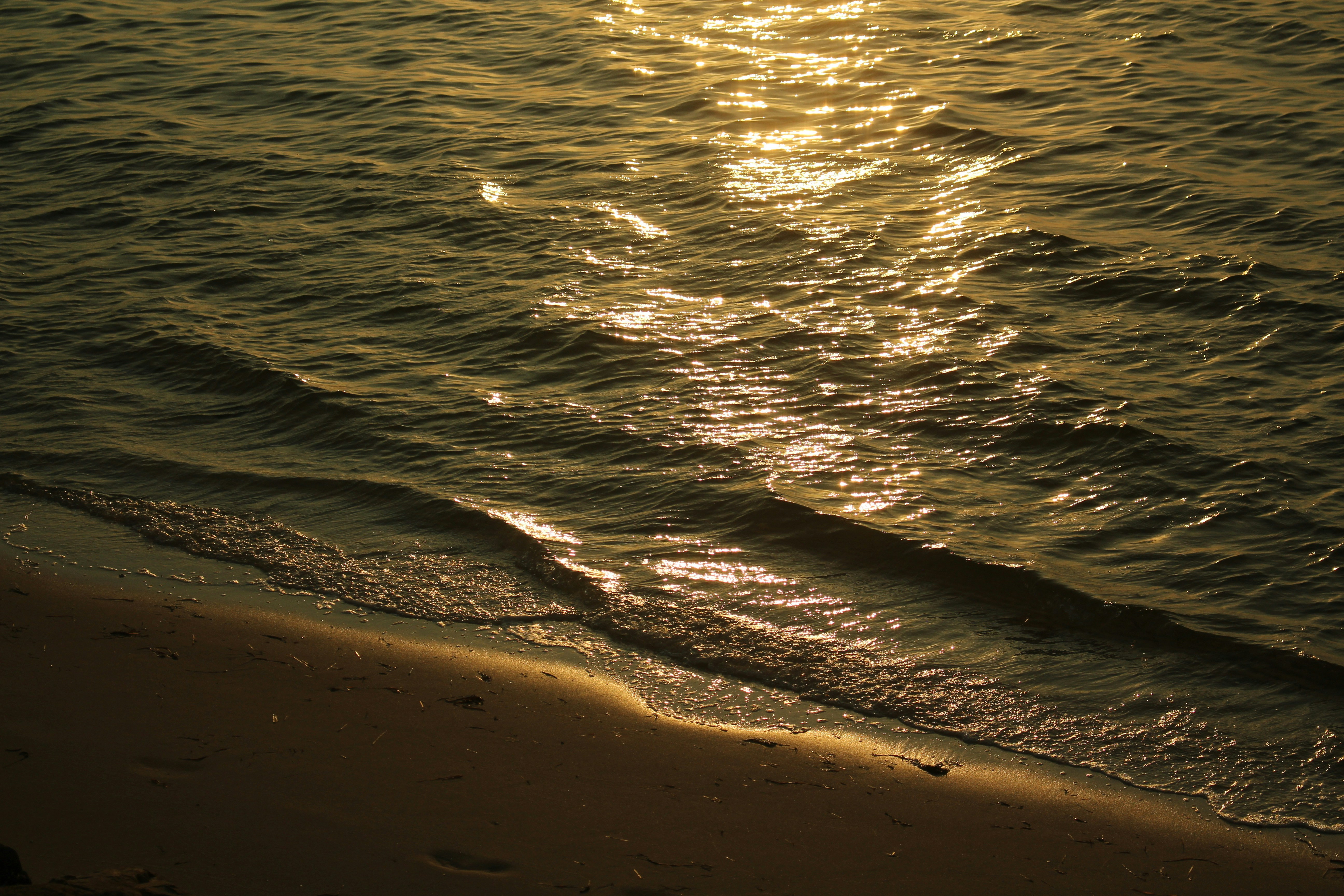 Golden Tide at Dusk: A Quiet Shore Silhouette