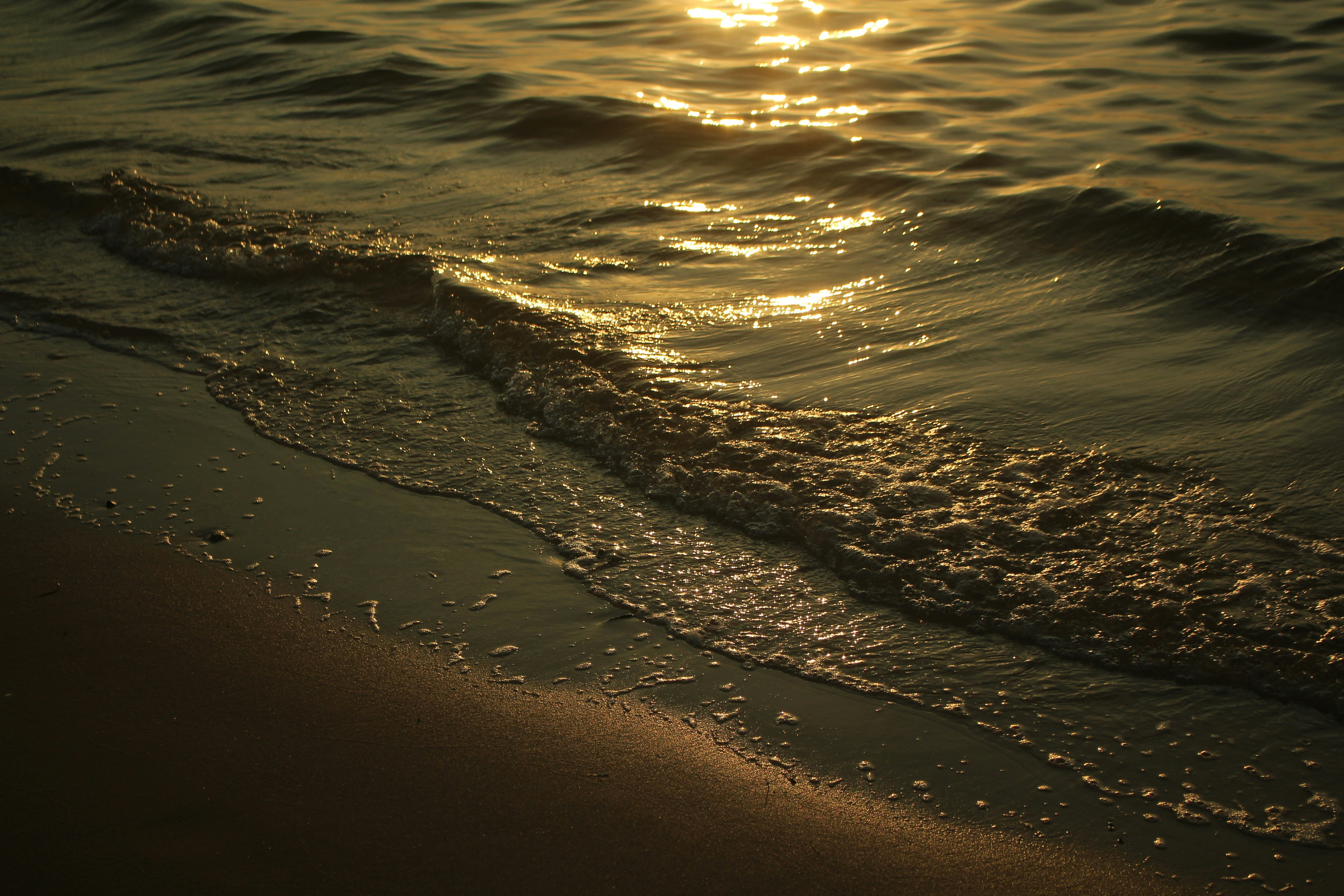 Golden Ripples: Quiet Shoreline at Dusk