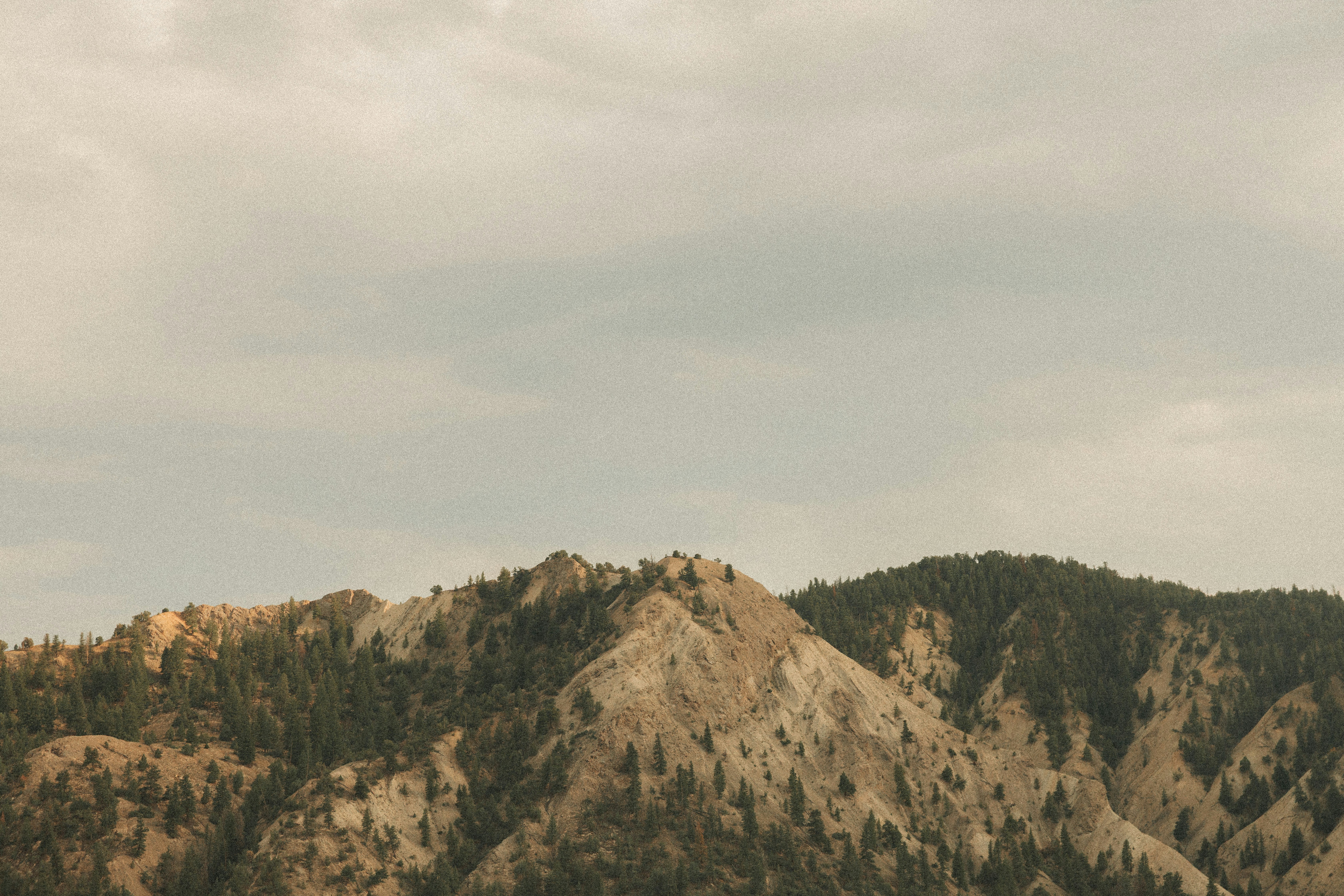 Ridgetop Serenade: Morning Light on The Hills