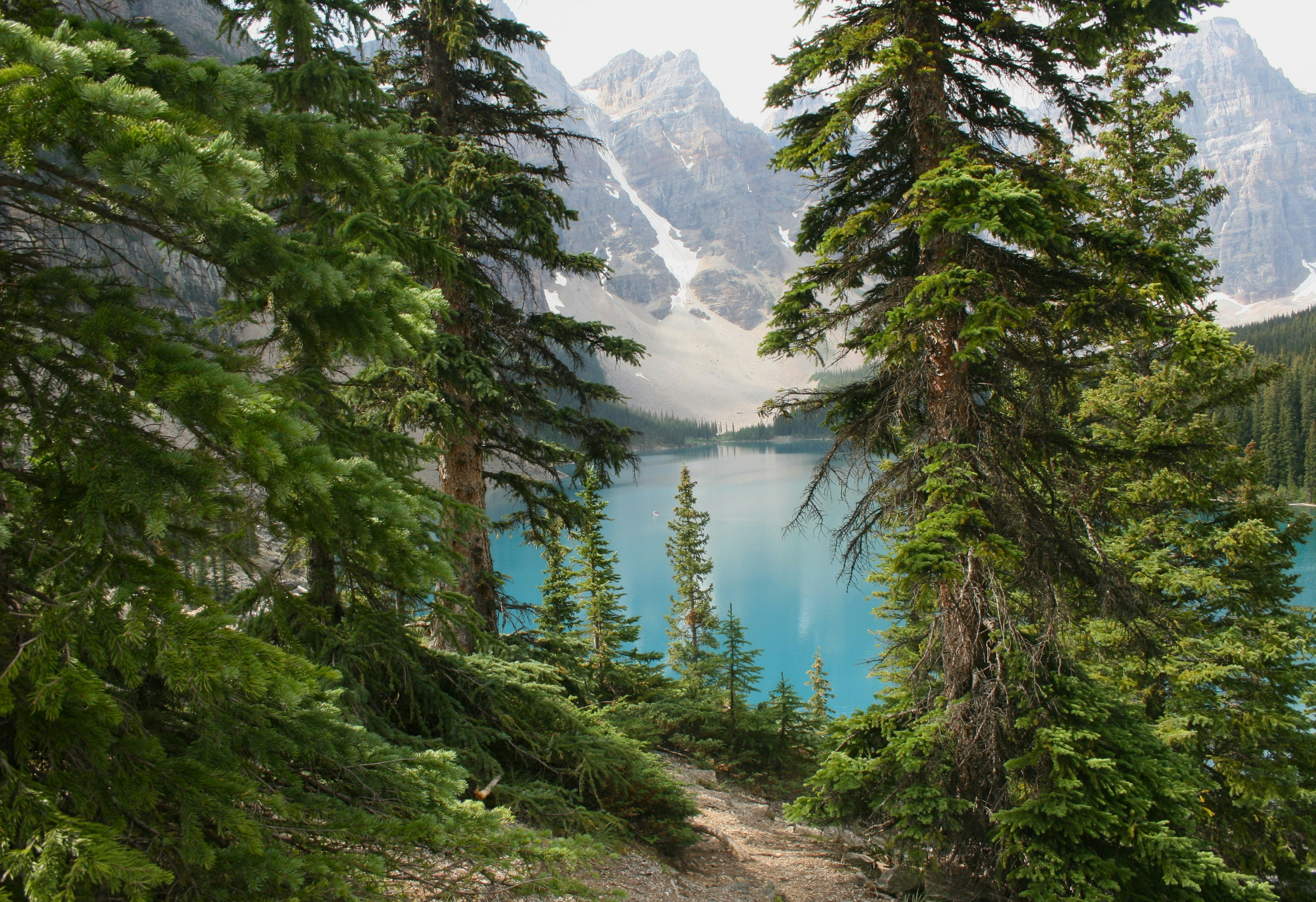 Emerald Basin Overlook: Glacial Blues Beneath Needle Pines