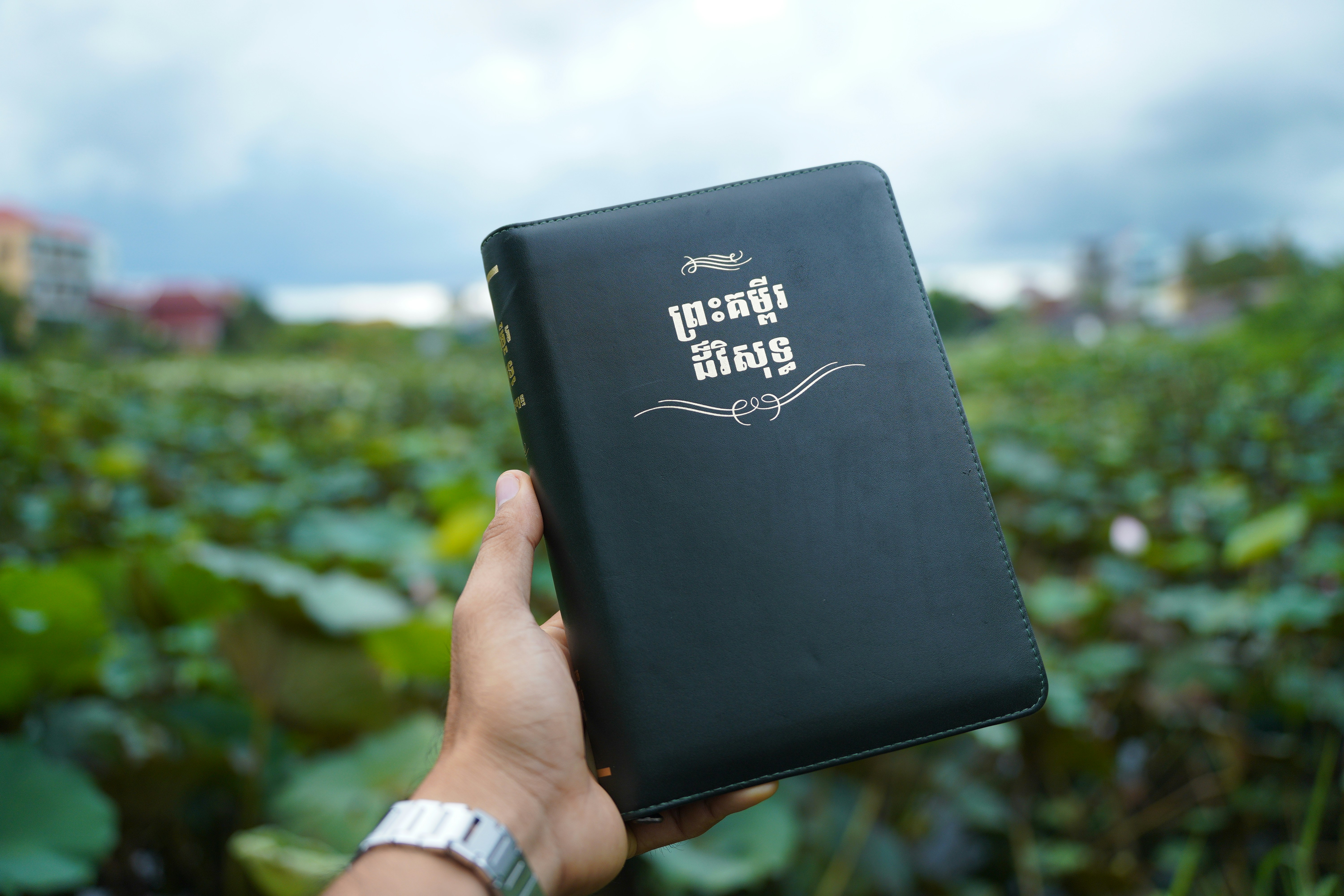 Hand-Held Journal of the Fields: A Black Leather Bible-like Notebook in Foreground