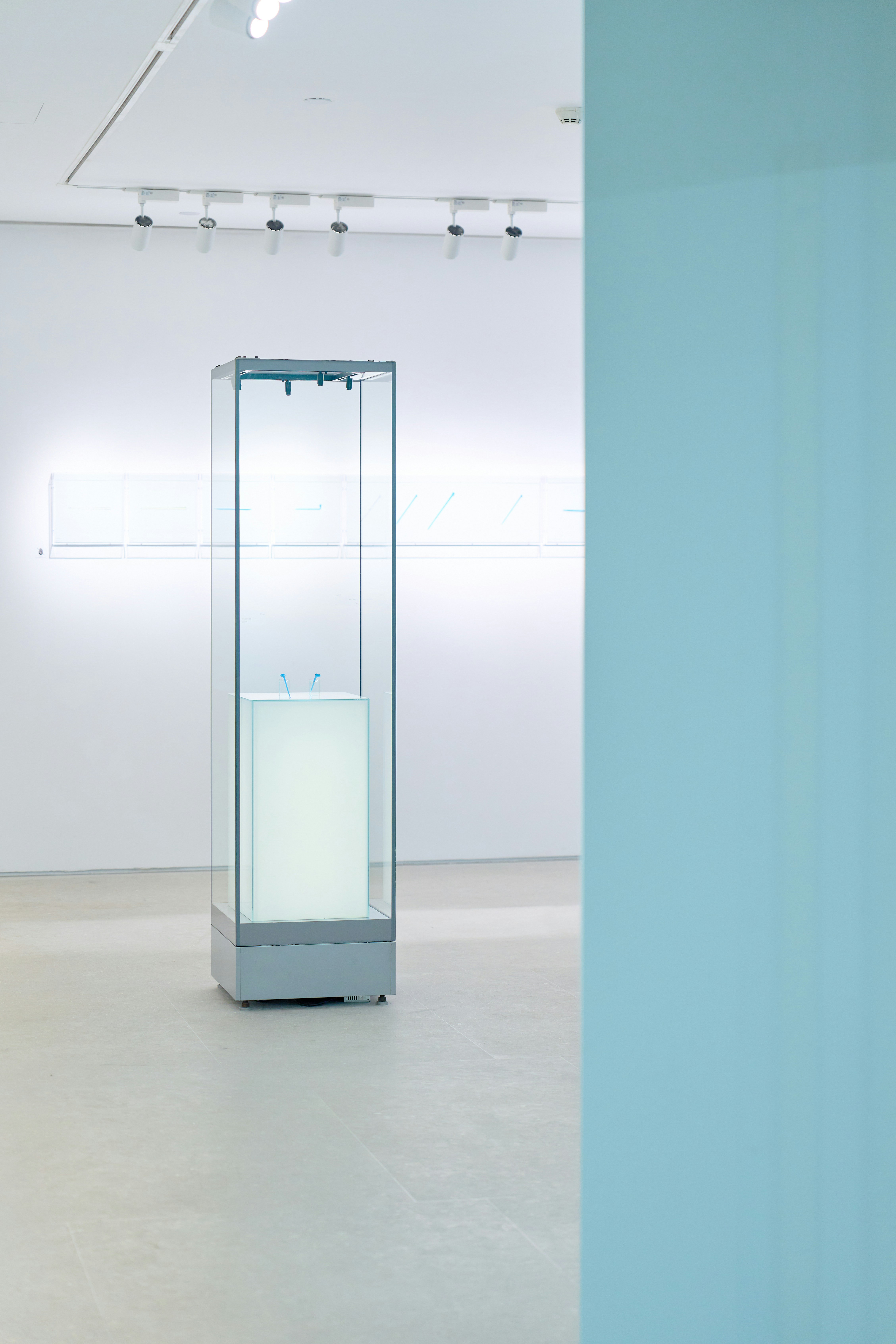 Glass Display Case in Subtle Gallery Light