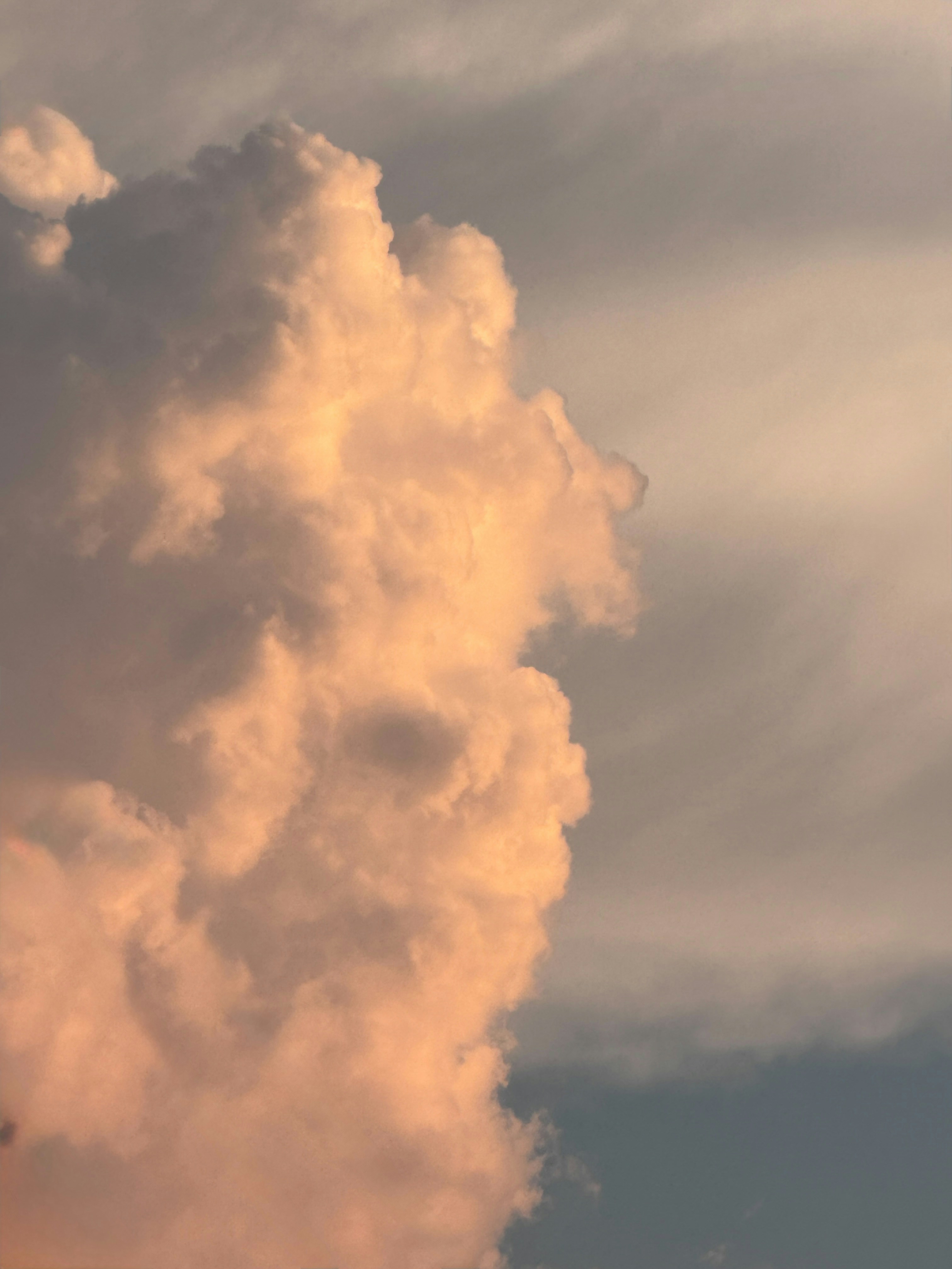 Sunlit Cloud Column Rising from a Calm Sky