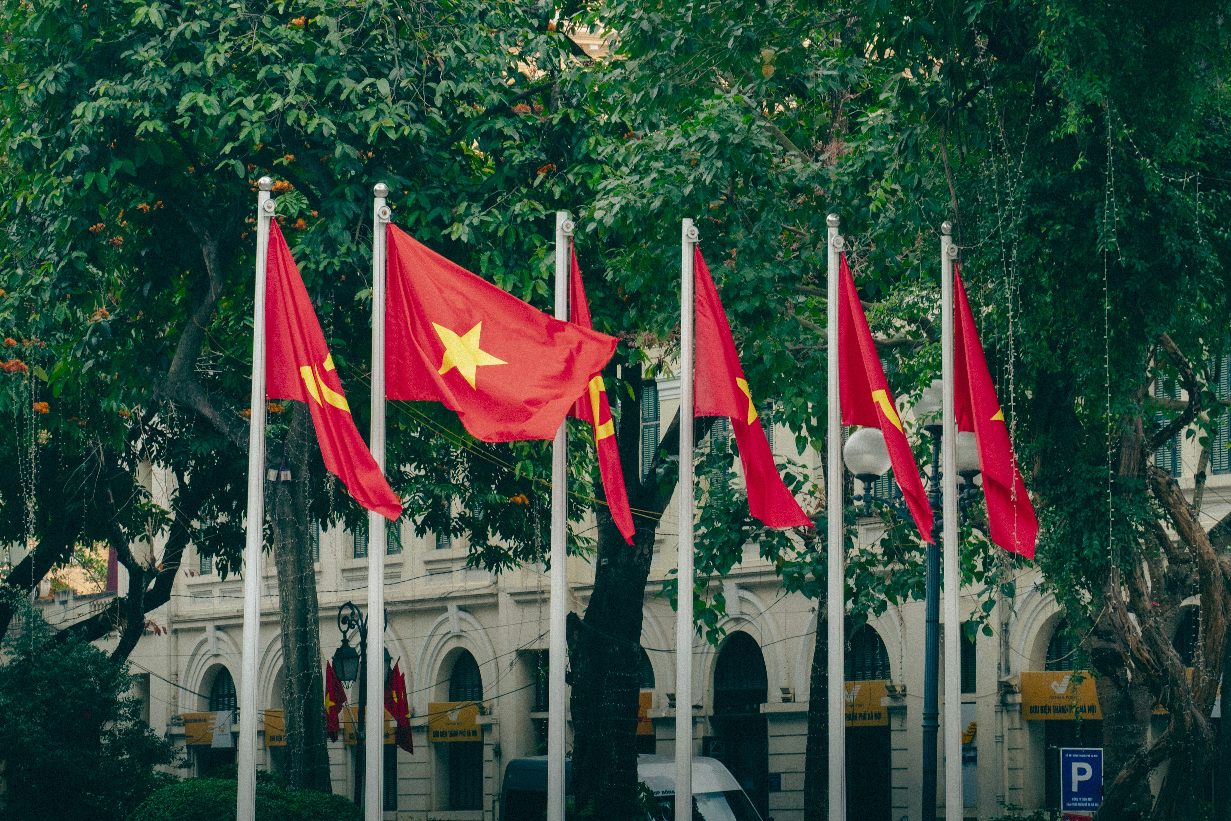 Flags in a City Square: A Row of Red Banners with a Central Star