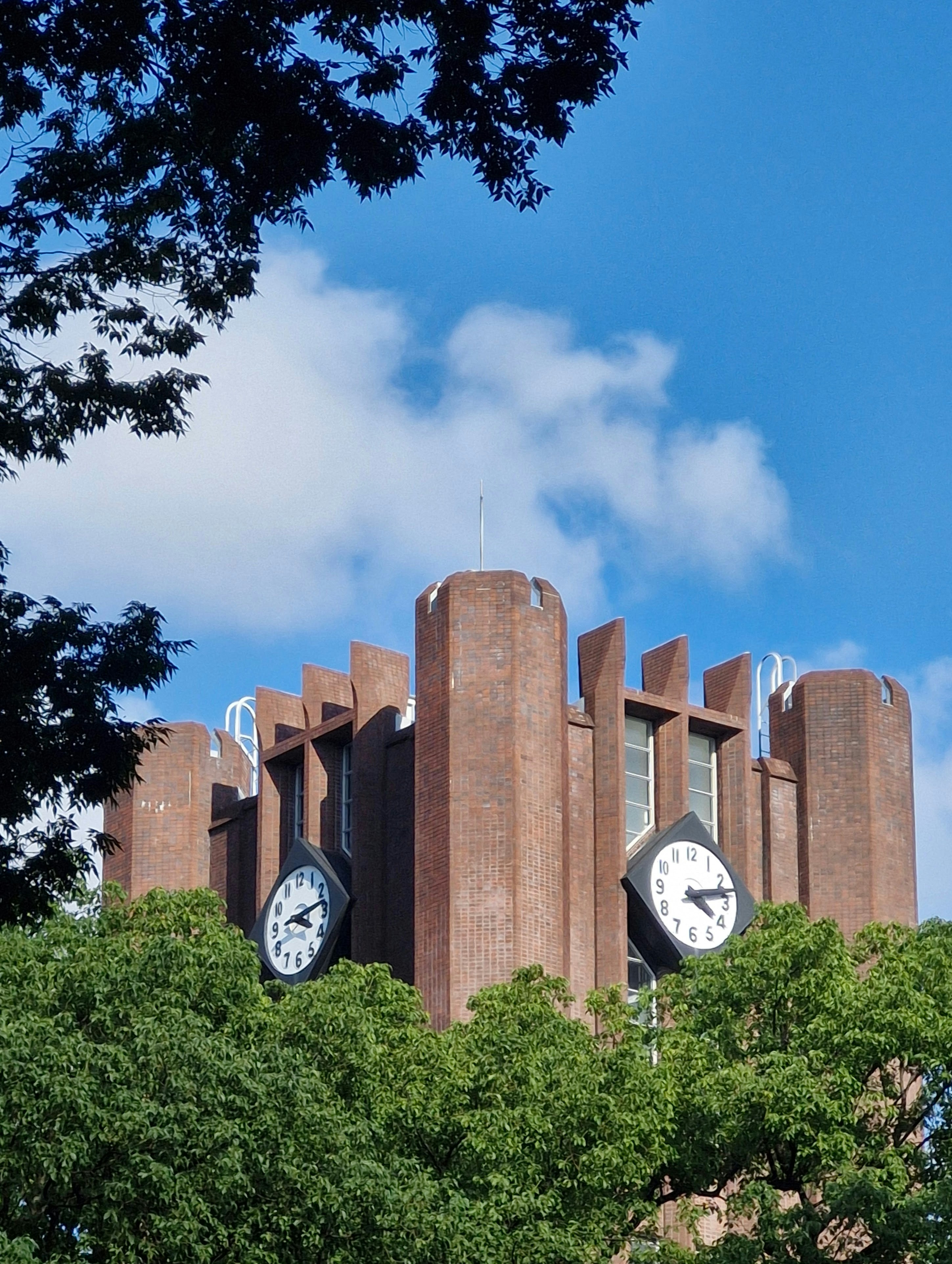 Clocktower Edifice Rises: Brick Architecture Framed by Verdant Canopy