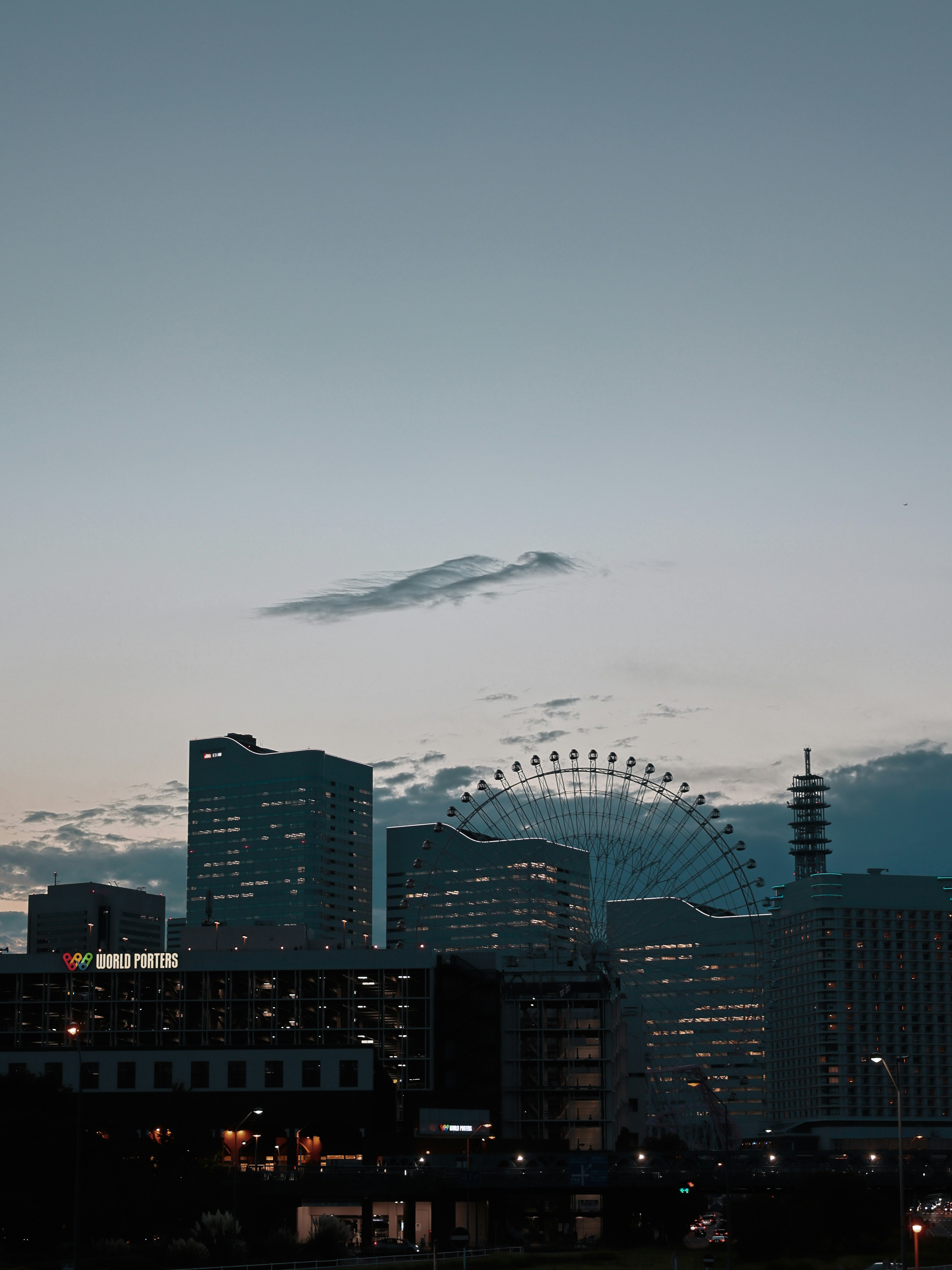 City of Ferris Lights at Dusk