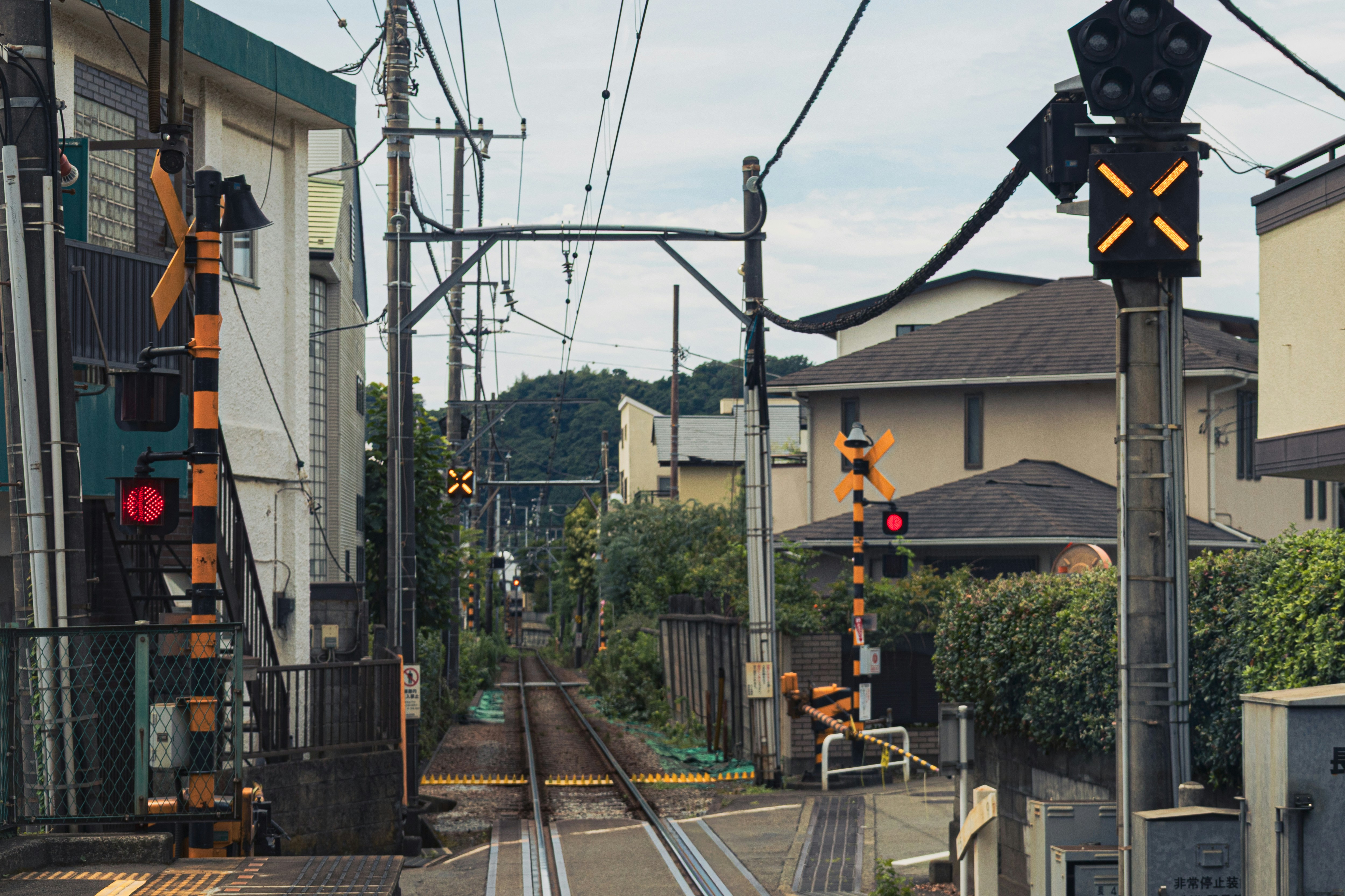 Crossing Rails: A Quiet Streetcar View into the Tracks