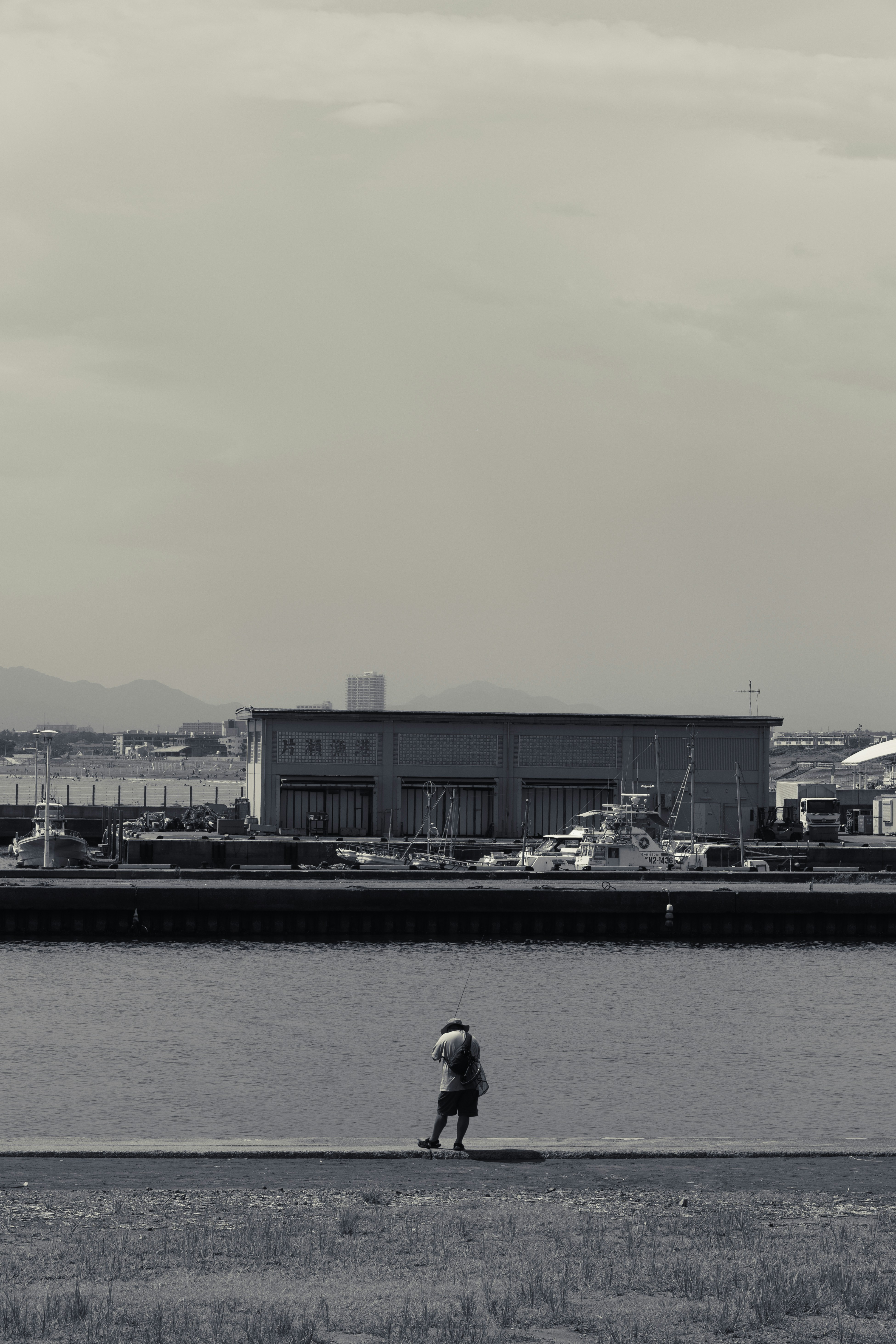 Harbor Sentinel: A solitary figure at the water's edge