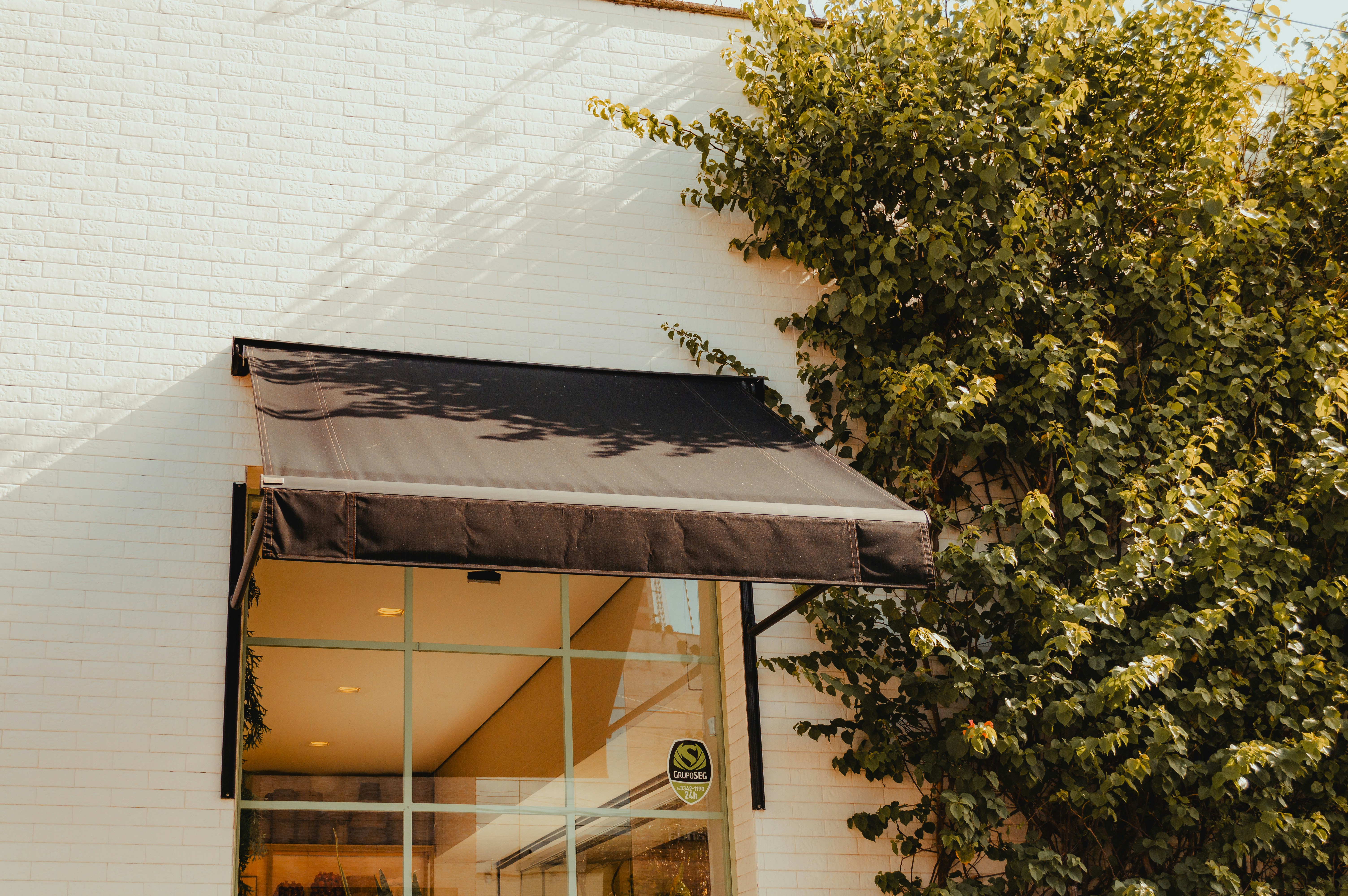 Sunlit storefront under a canopy, framed by lush ivy
