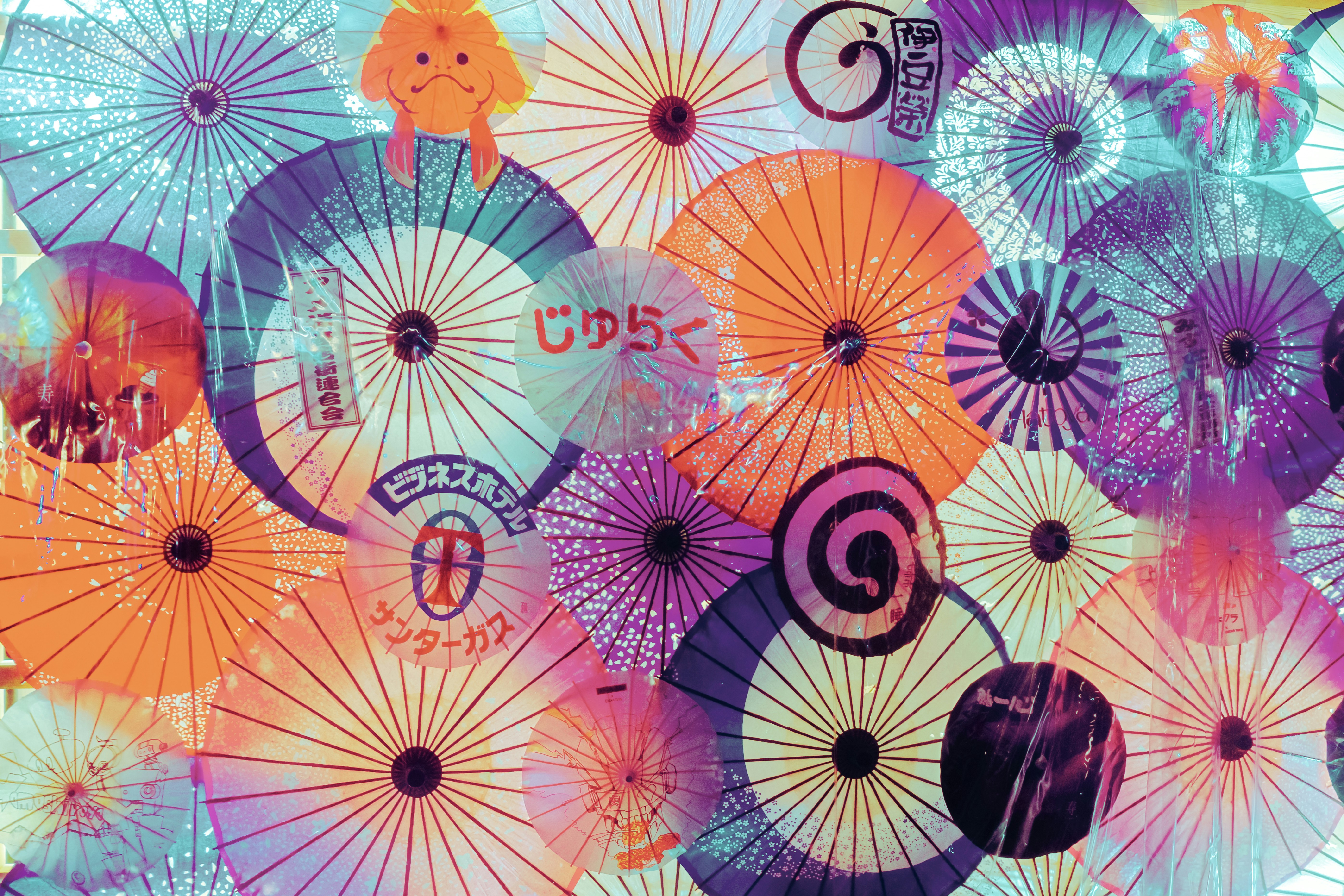 Sea of Colorful Umbrellas: A Mosaic of Shaded Circles