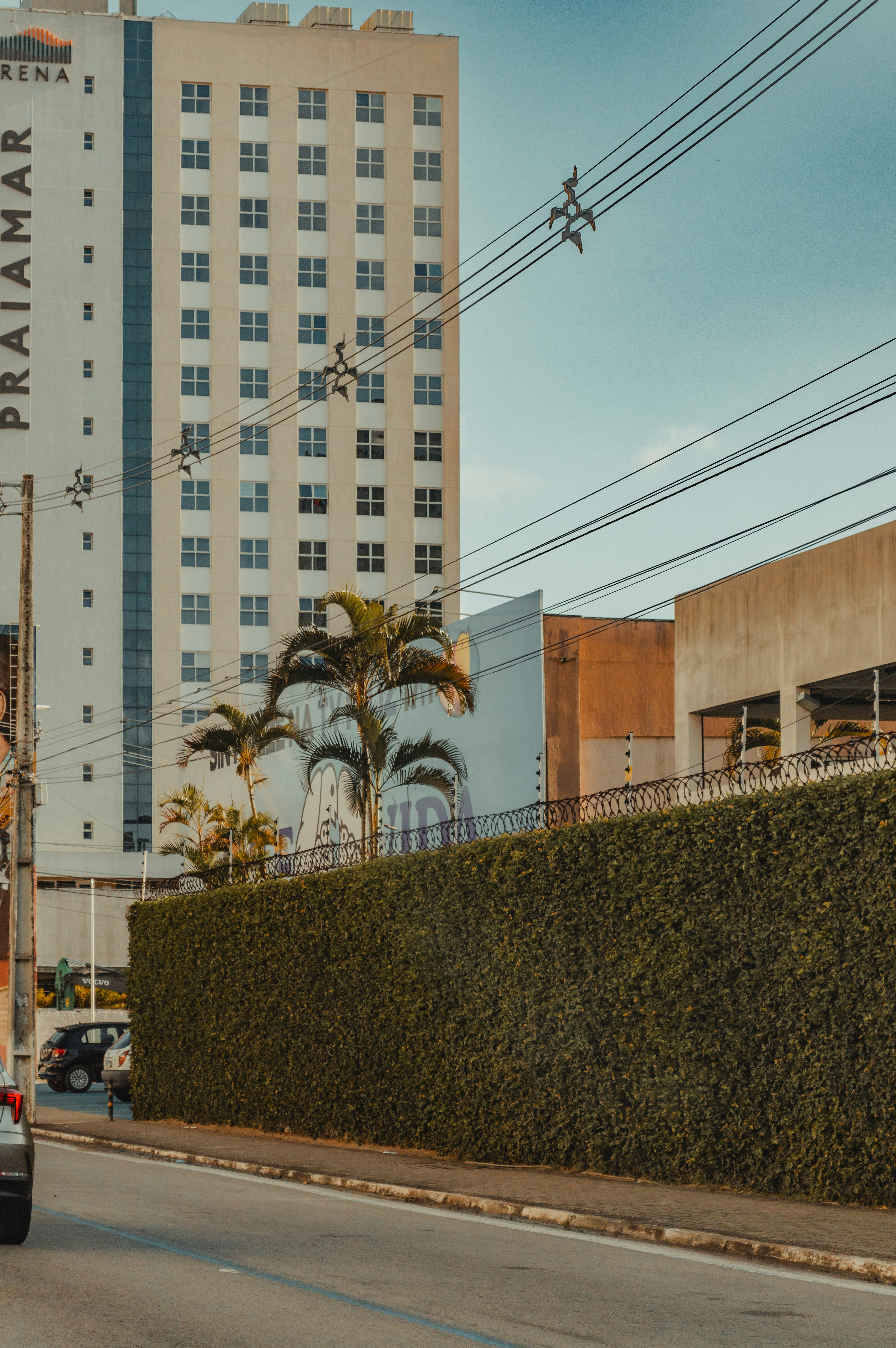 Urban Symmetry: The Tall Blue Tower and Tidy Hedge