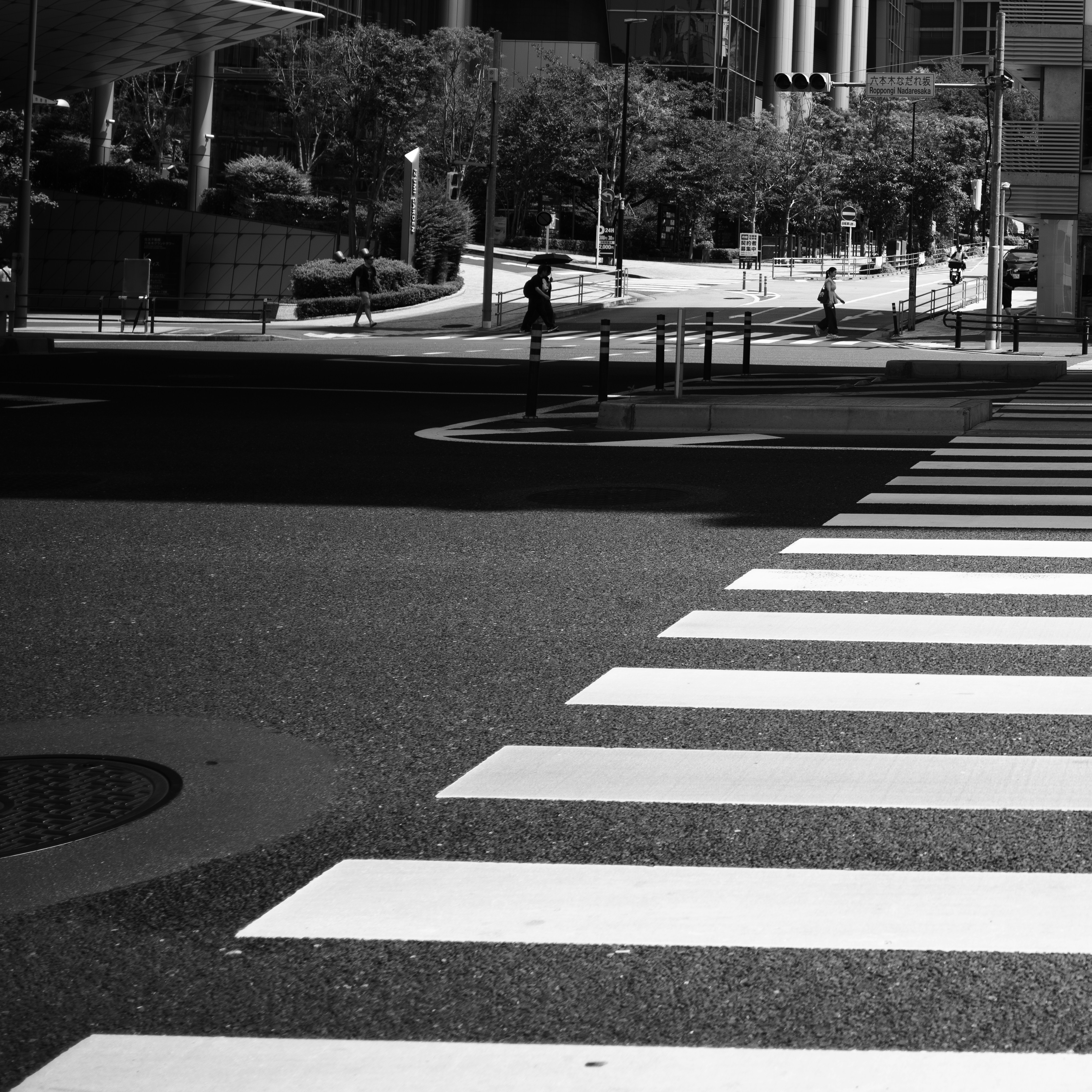 Crosswalk Echoes in Monochrome City