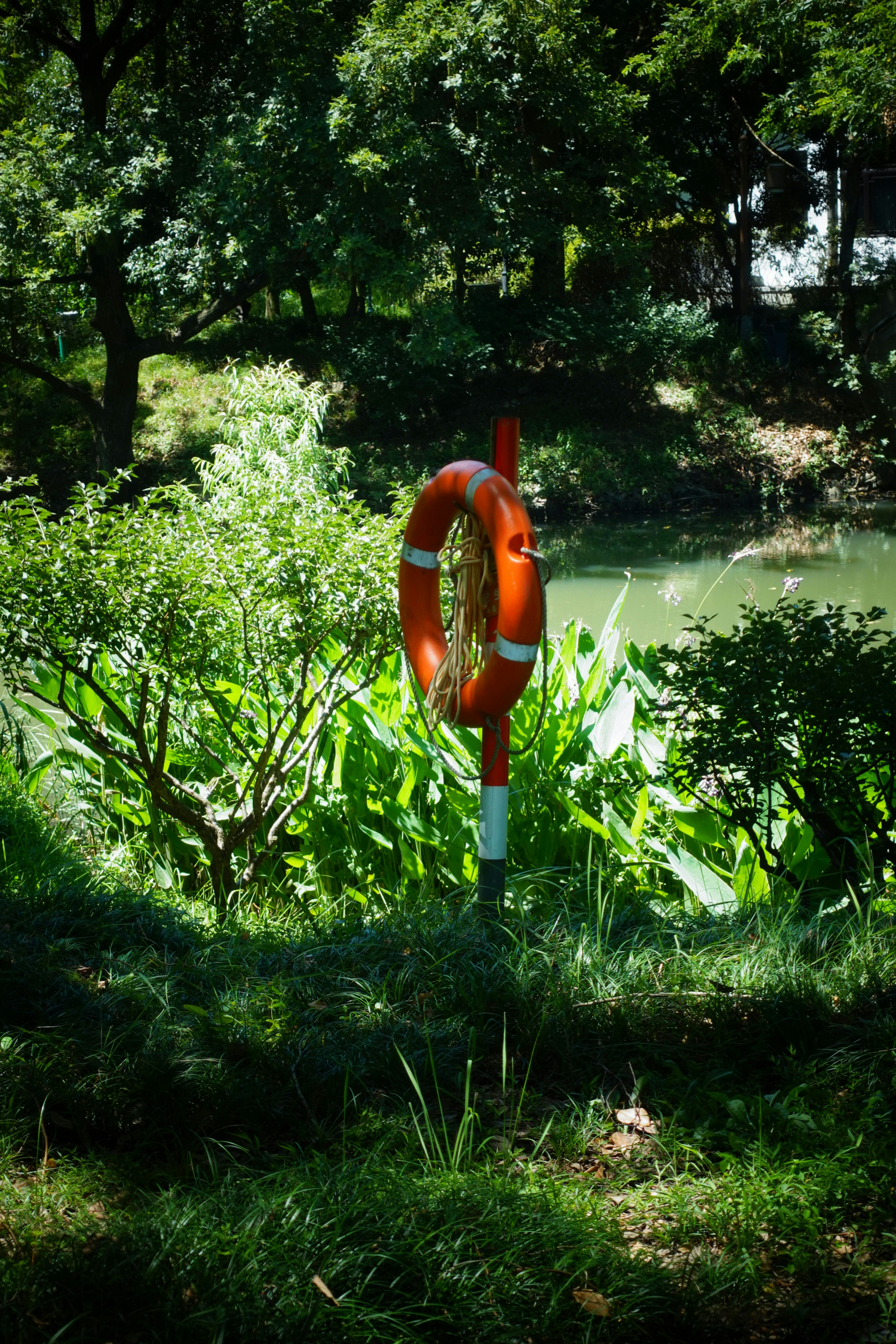 Lifebuoy Standby by the Riverbank