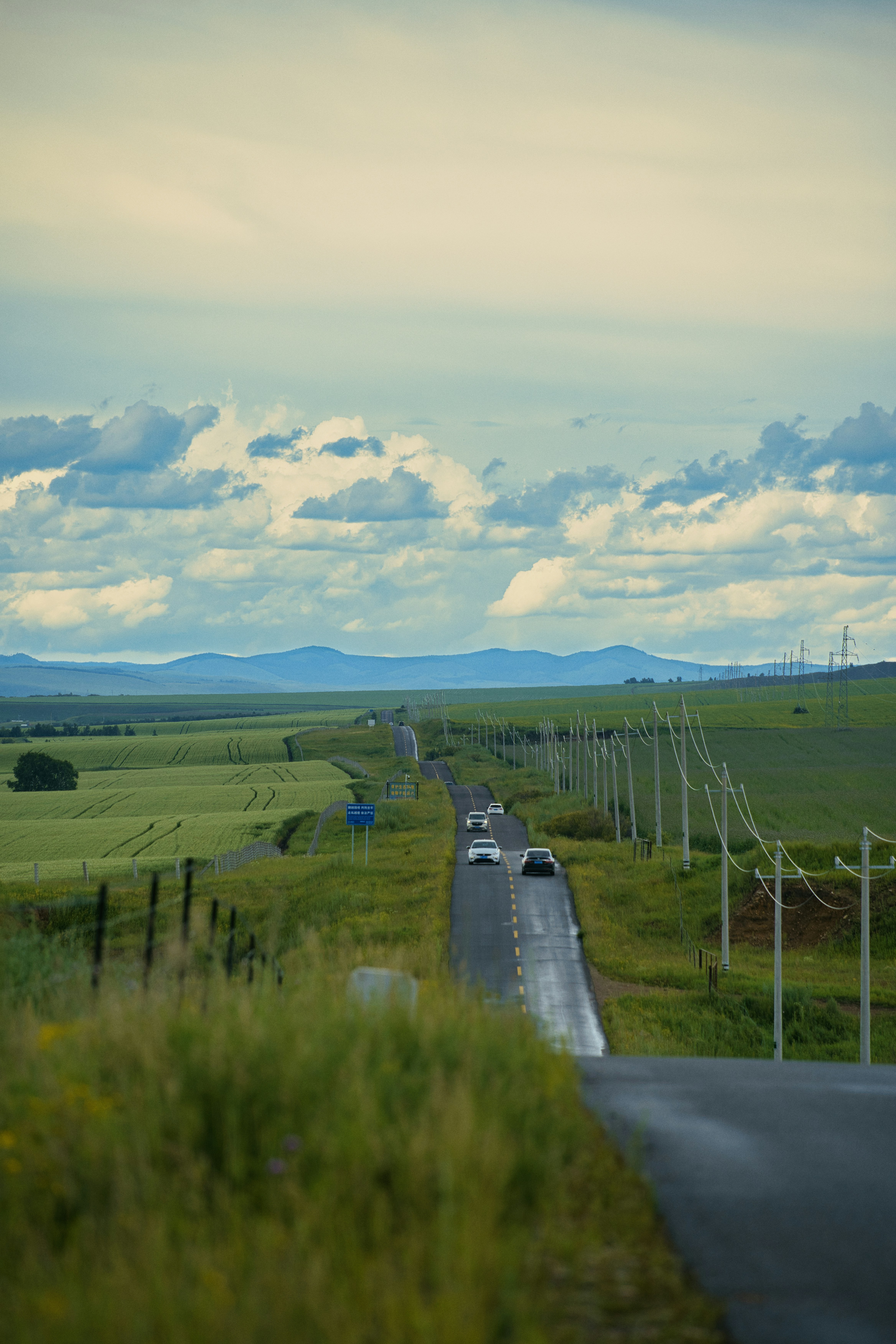 Long Rural Descent: A Quiet Line of Cars on a Narrow Nation Road