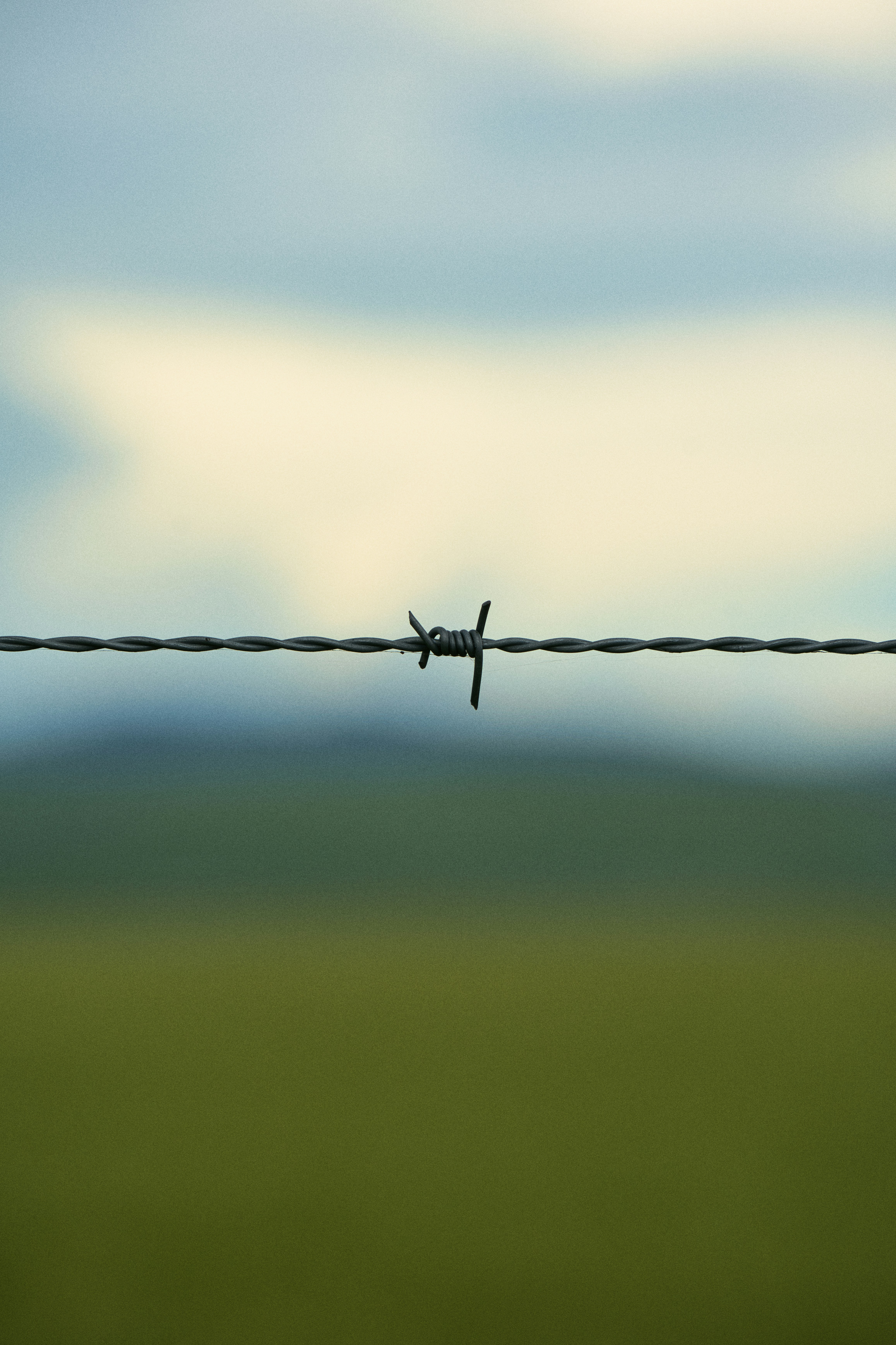 Barbed Silence: a single taut wire across a quiet horizon