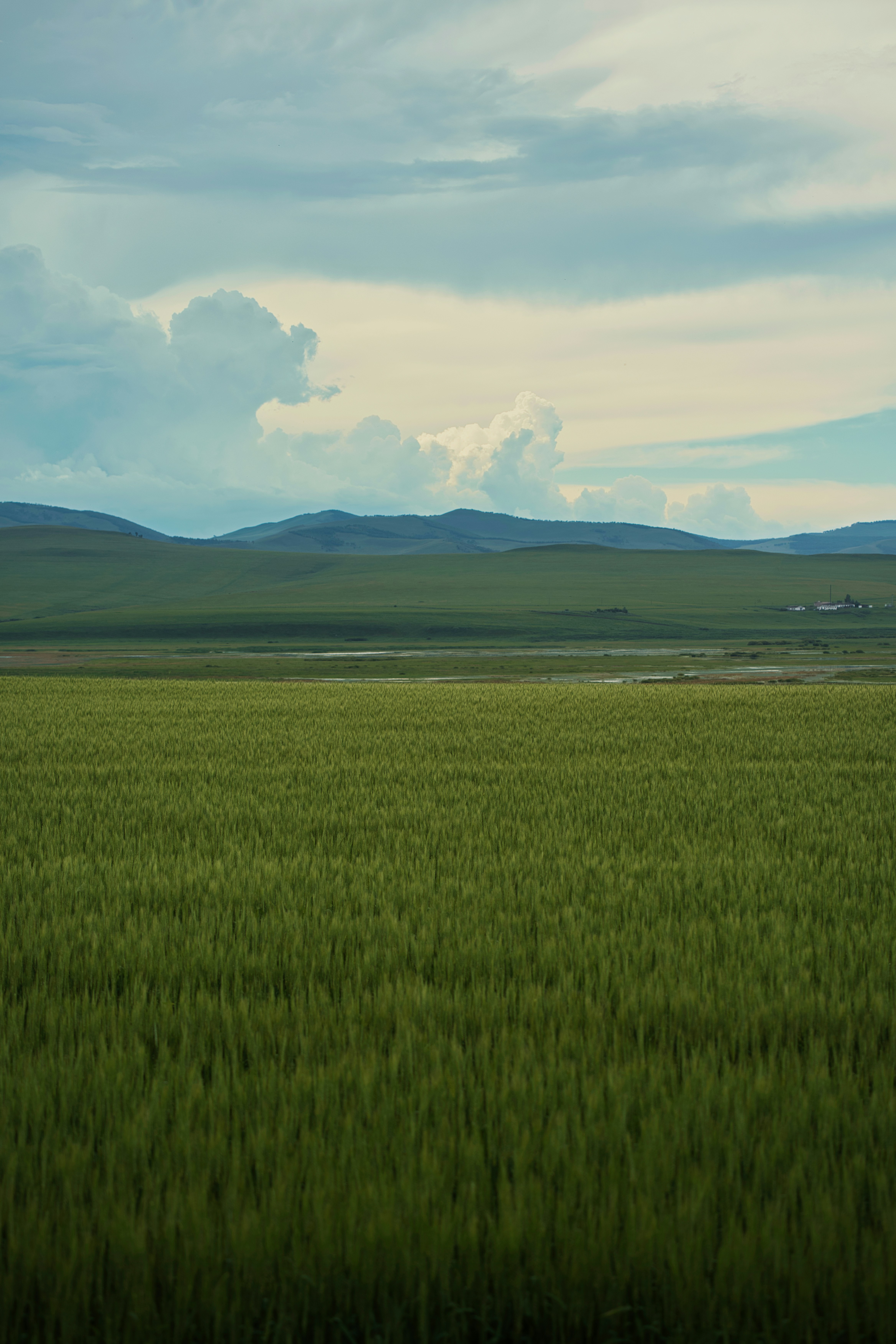 Edged Horizon Over A Lush Grass Field