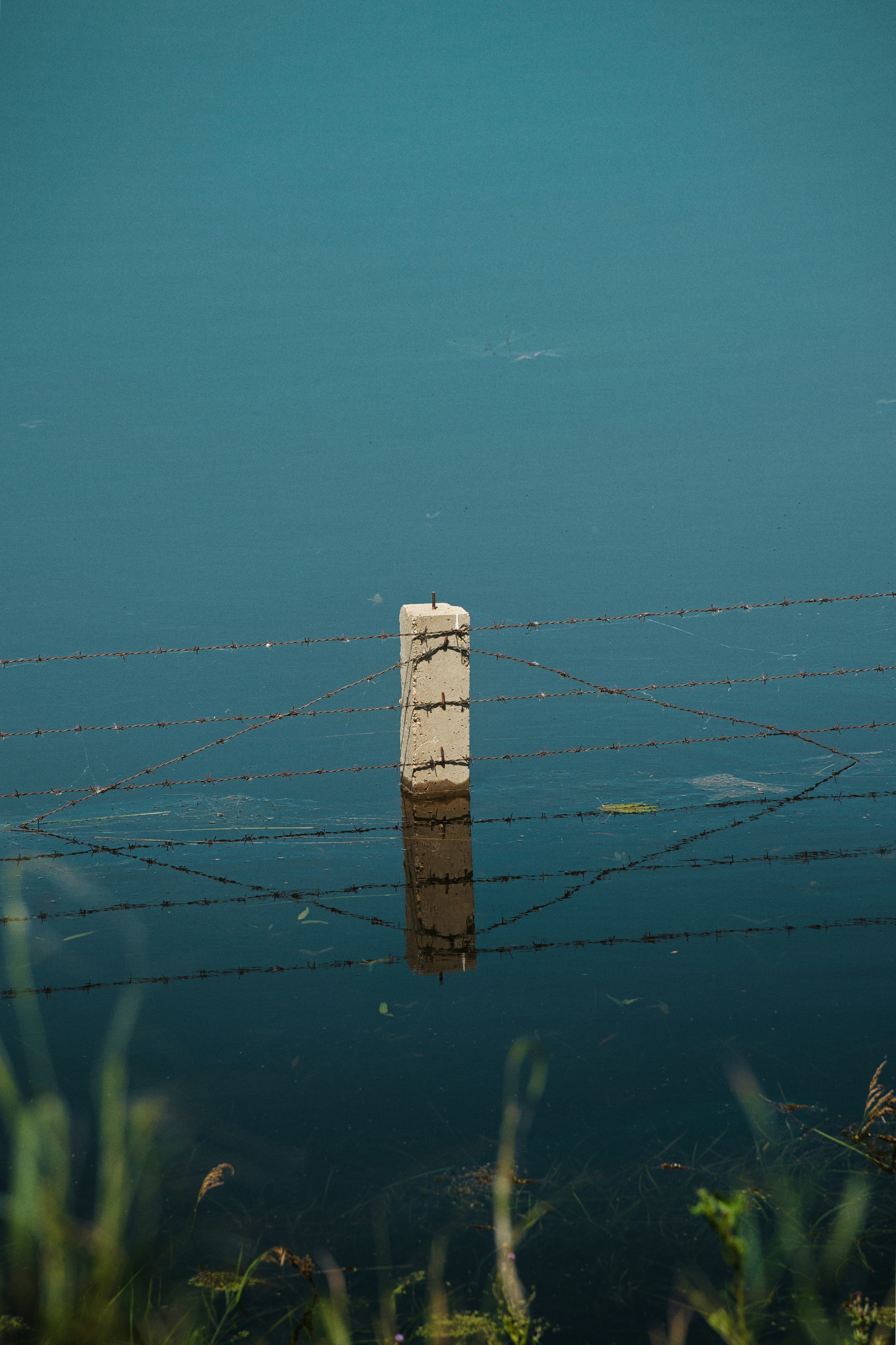 Barbed stillness: a lone post anchors the lake’s mirrored barbs