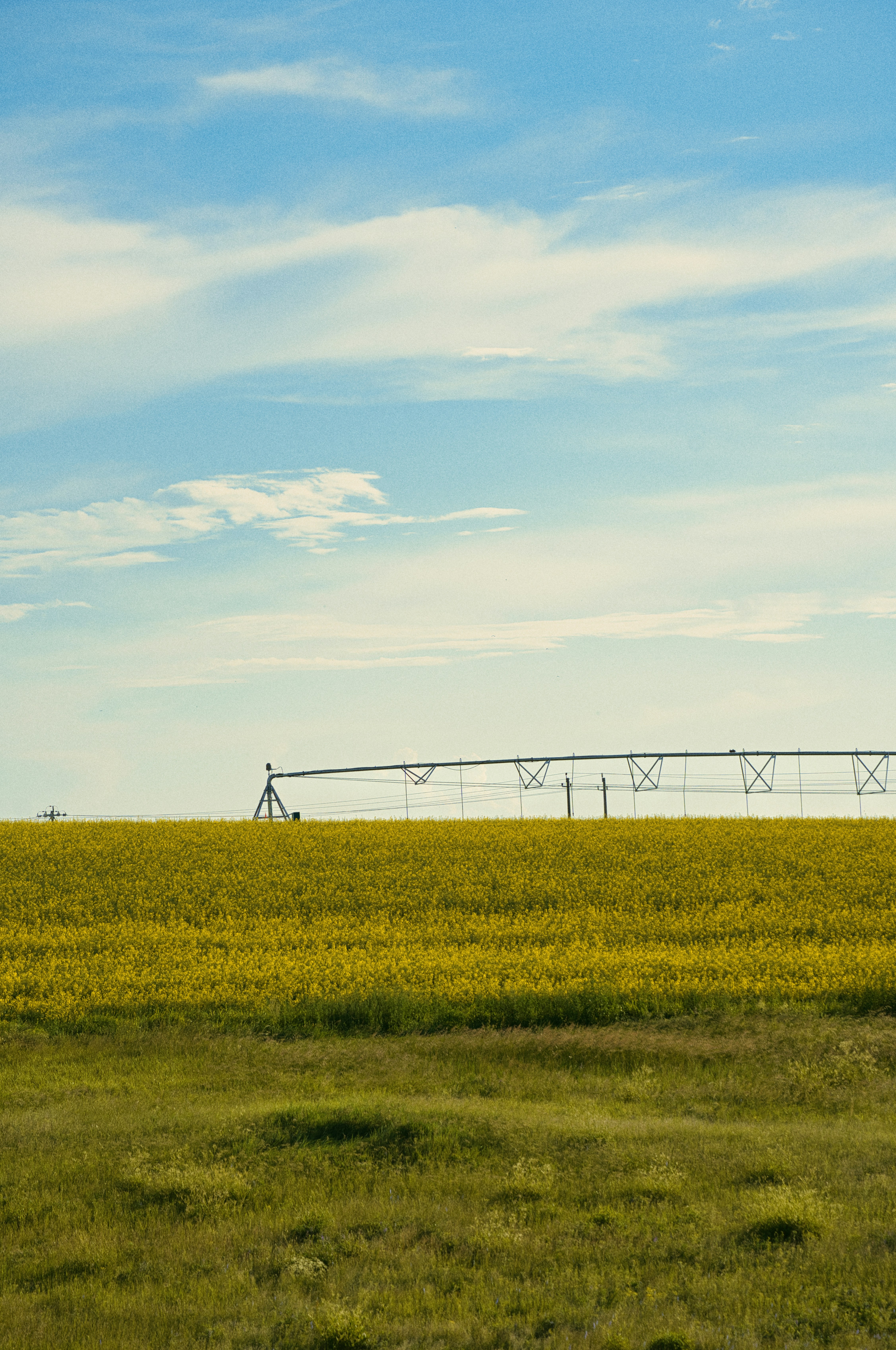 Harvested Horizon Under a Wide Blue Quiet