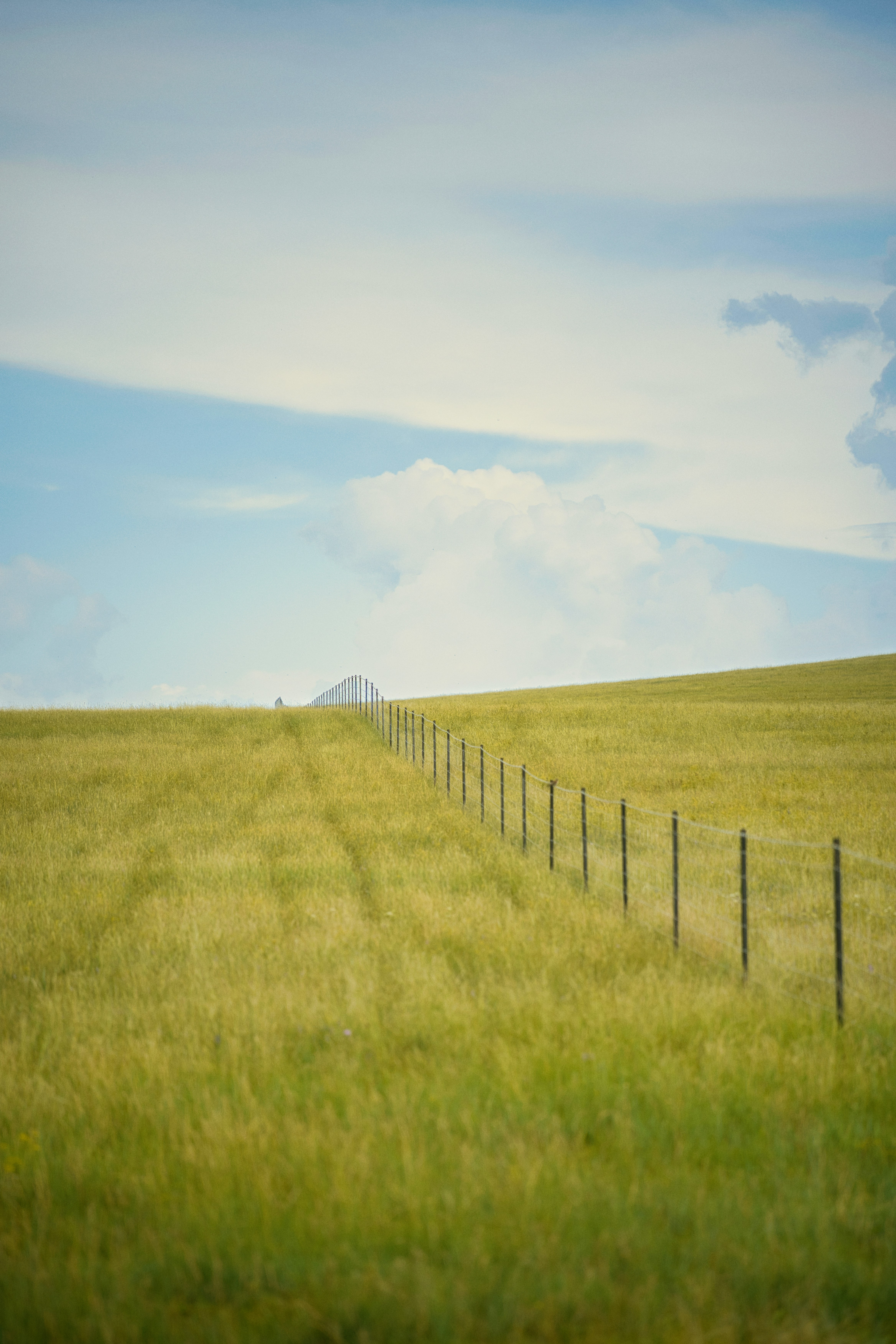 Fence Line Toward the Distant Gate