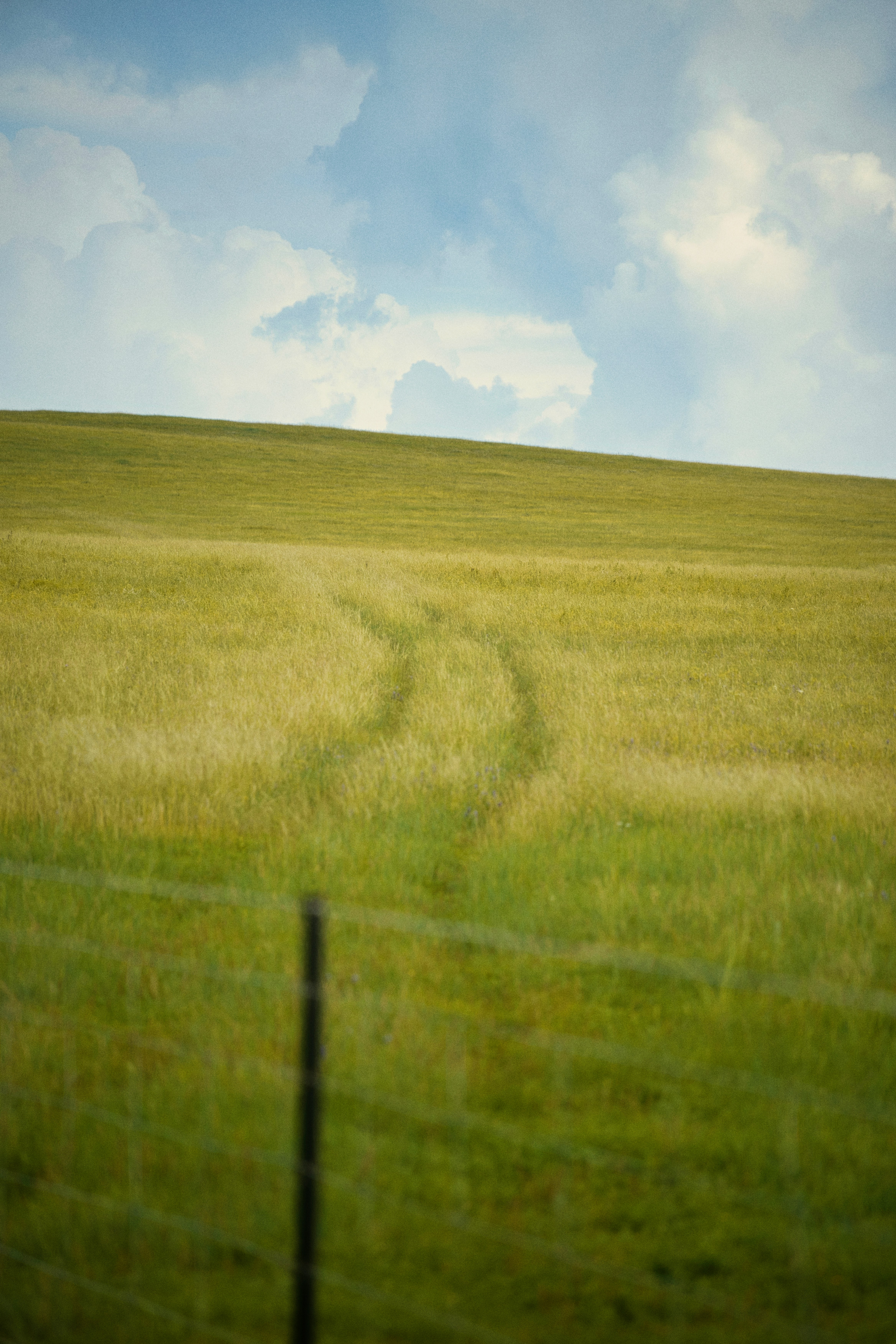 Beyond the Fence: A Rolling Green Ascend