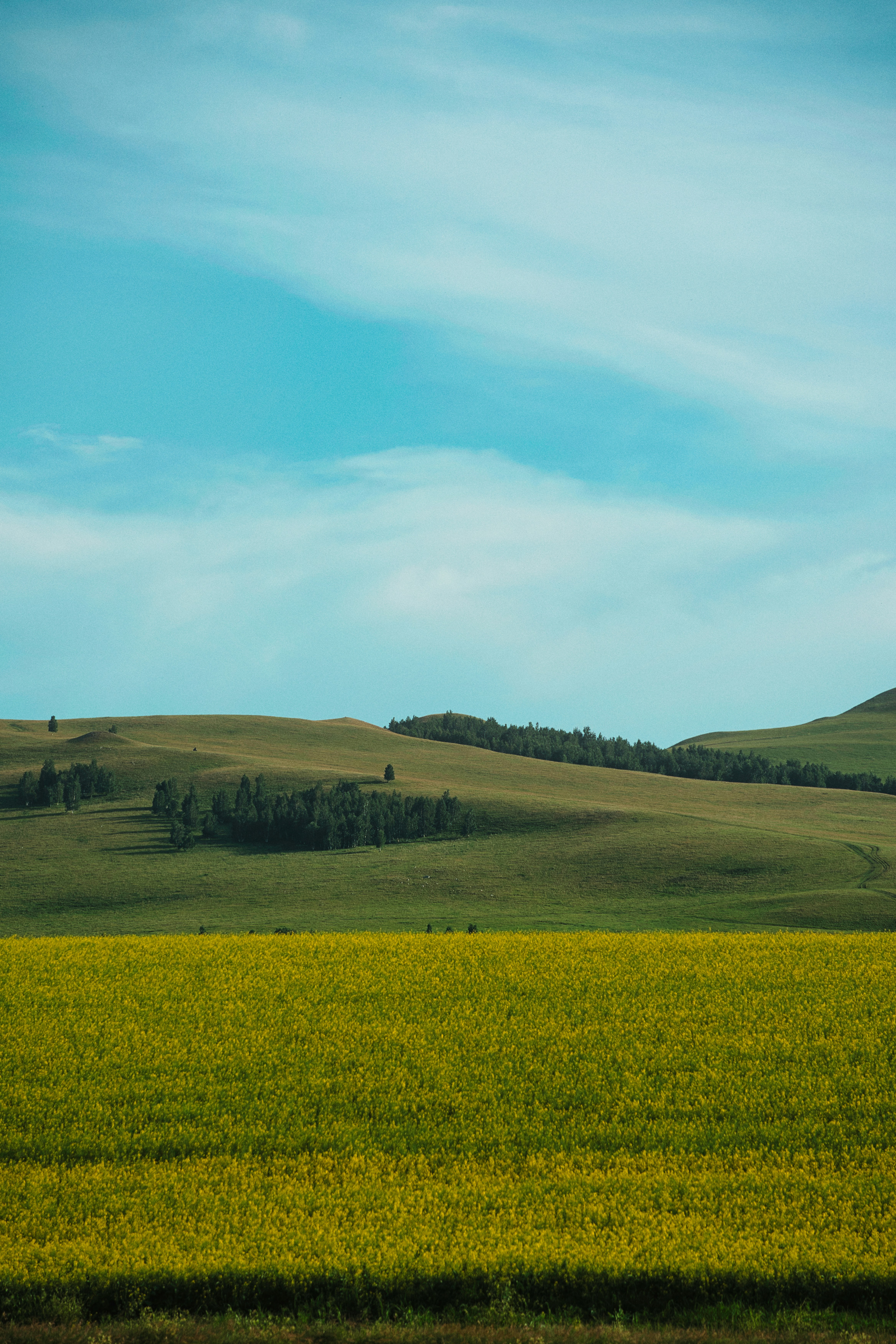 Golden Hills under a Vast Blue Sky
