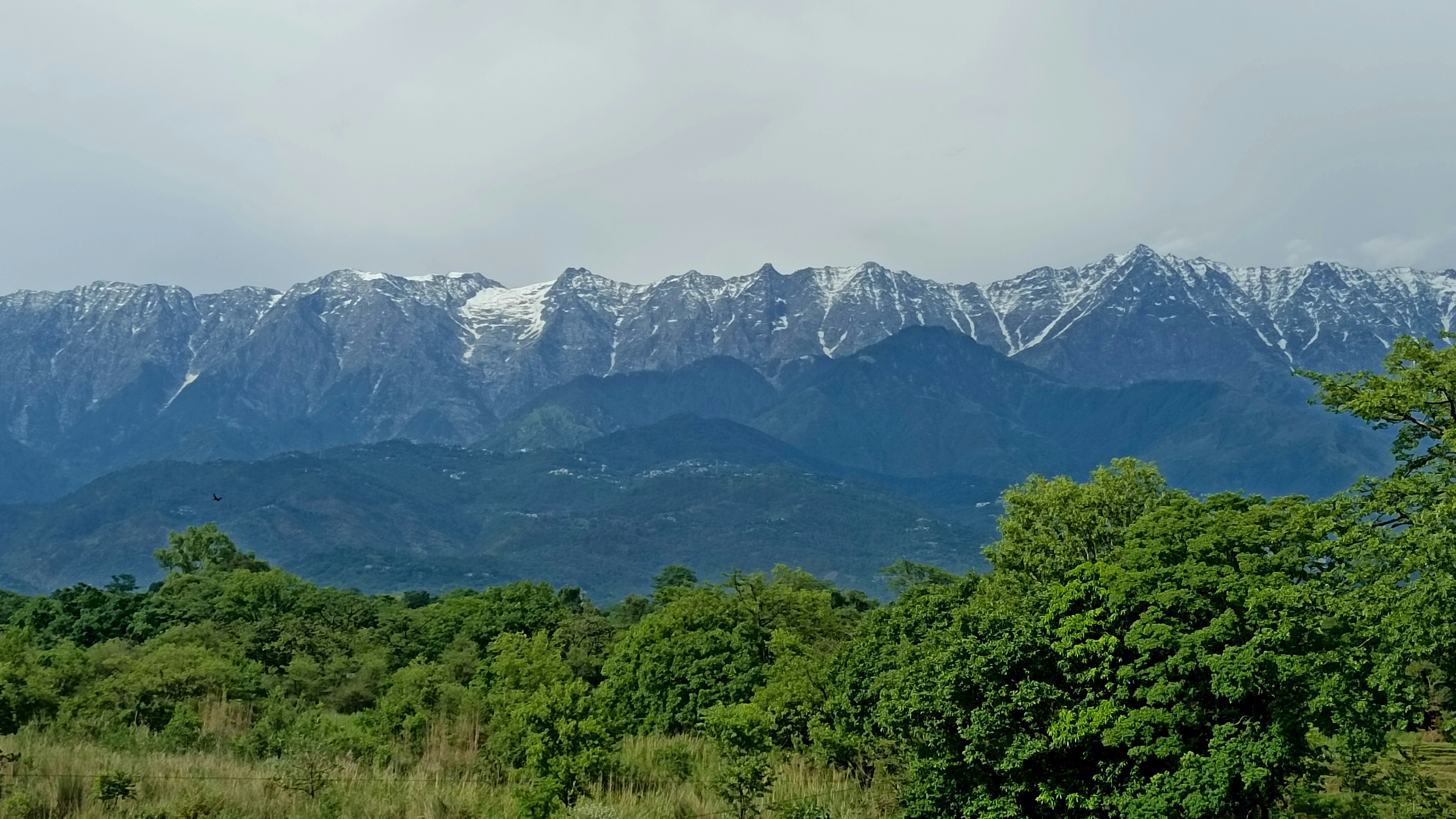 Snowcaps Above the Green Verge: Valley towards the Distant Range