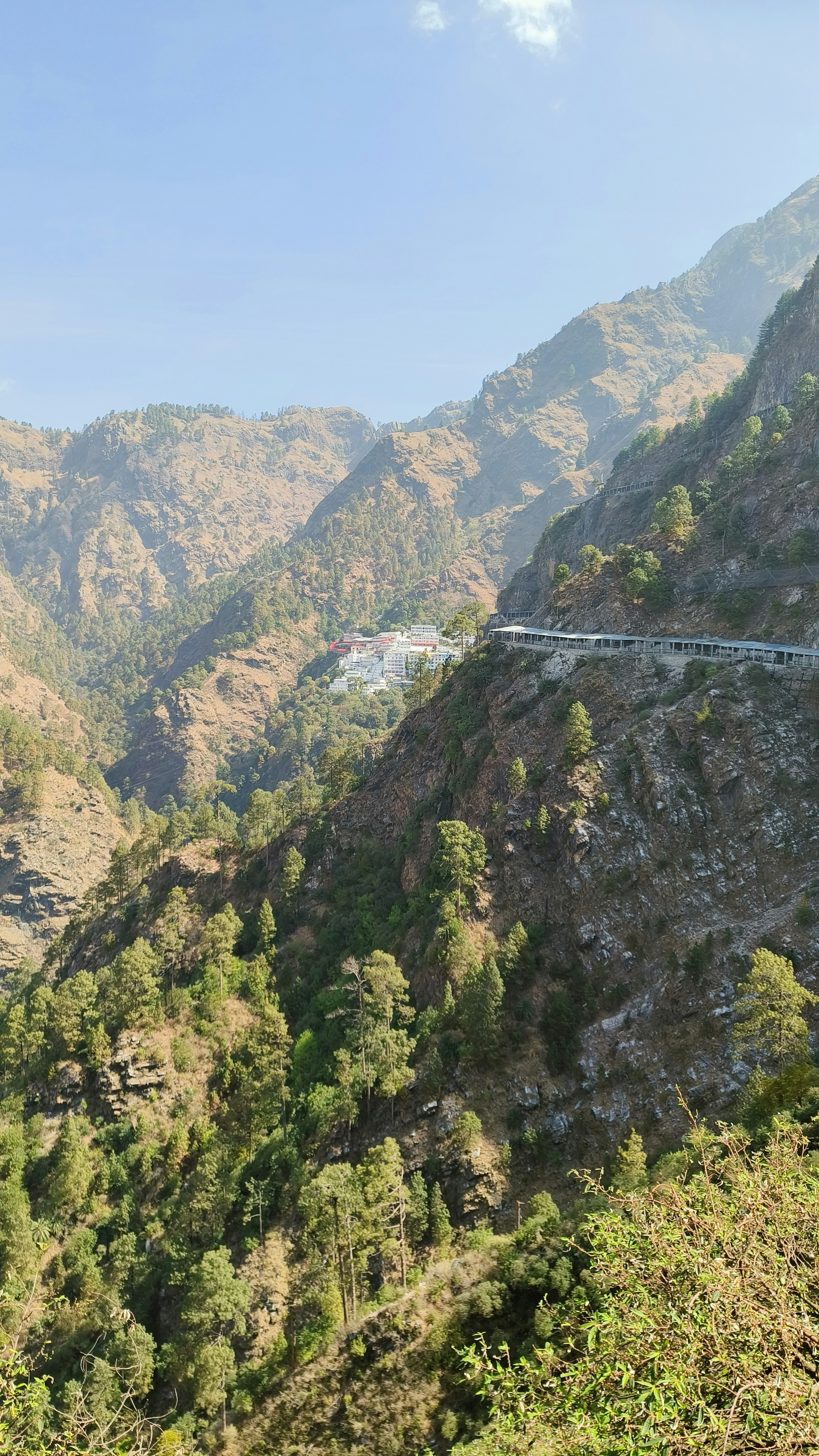 Cliffside railway slicing through a sunlit pine-dotted valley