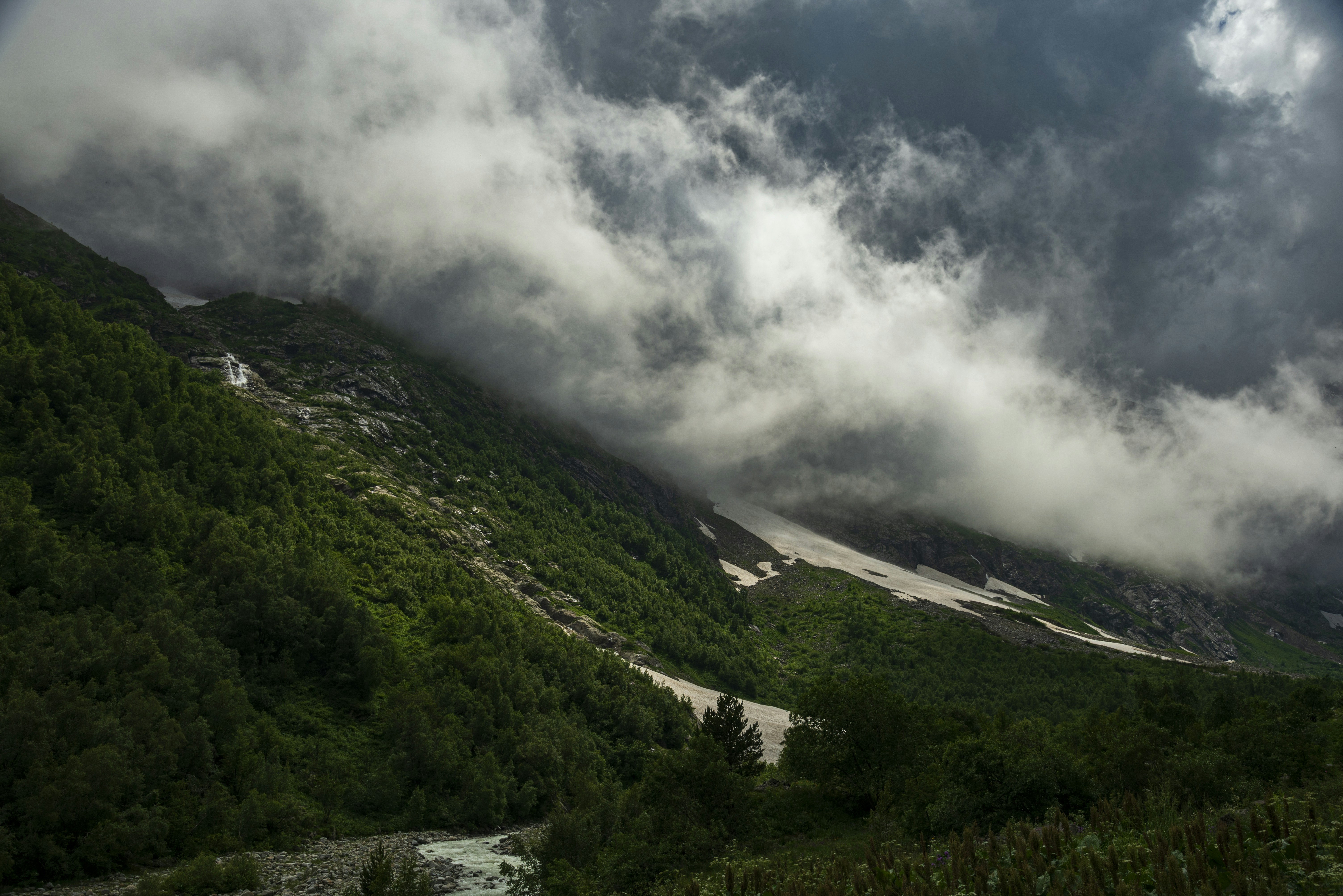 Mist over the Pine-Carved Slopes