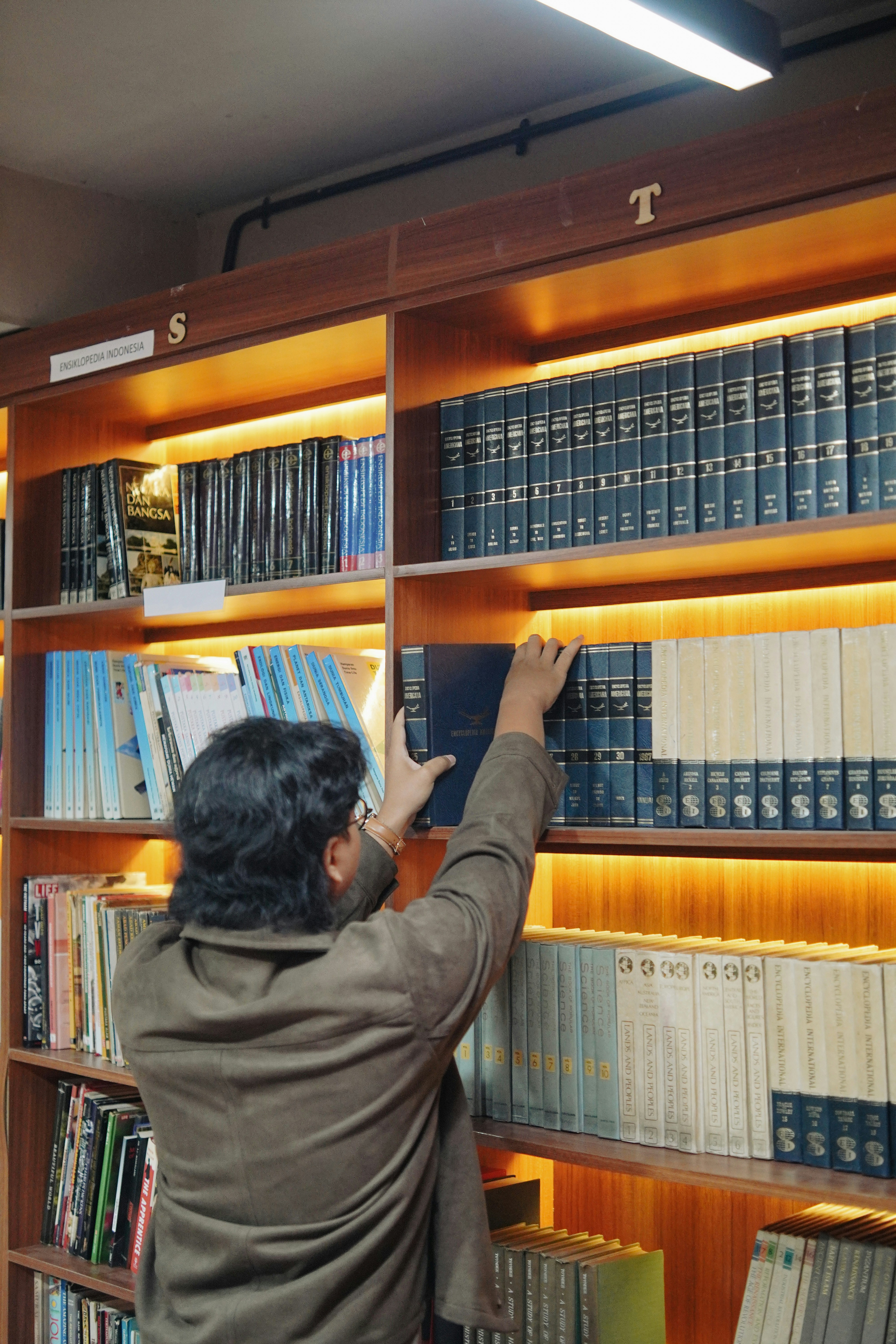 Librarian Reaches for a Forgotten Volume in Warm Library Glow