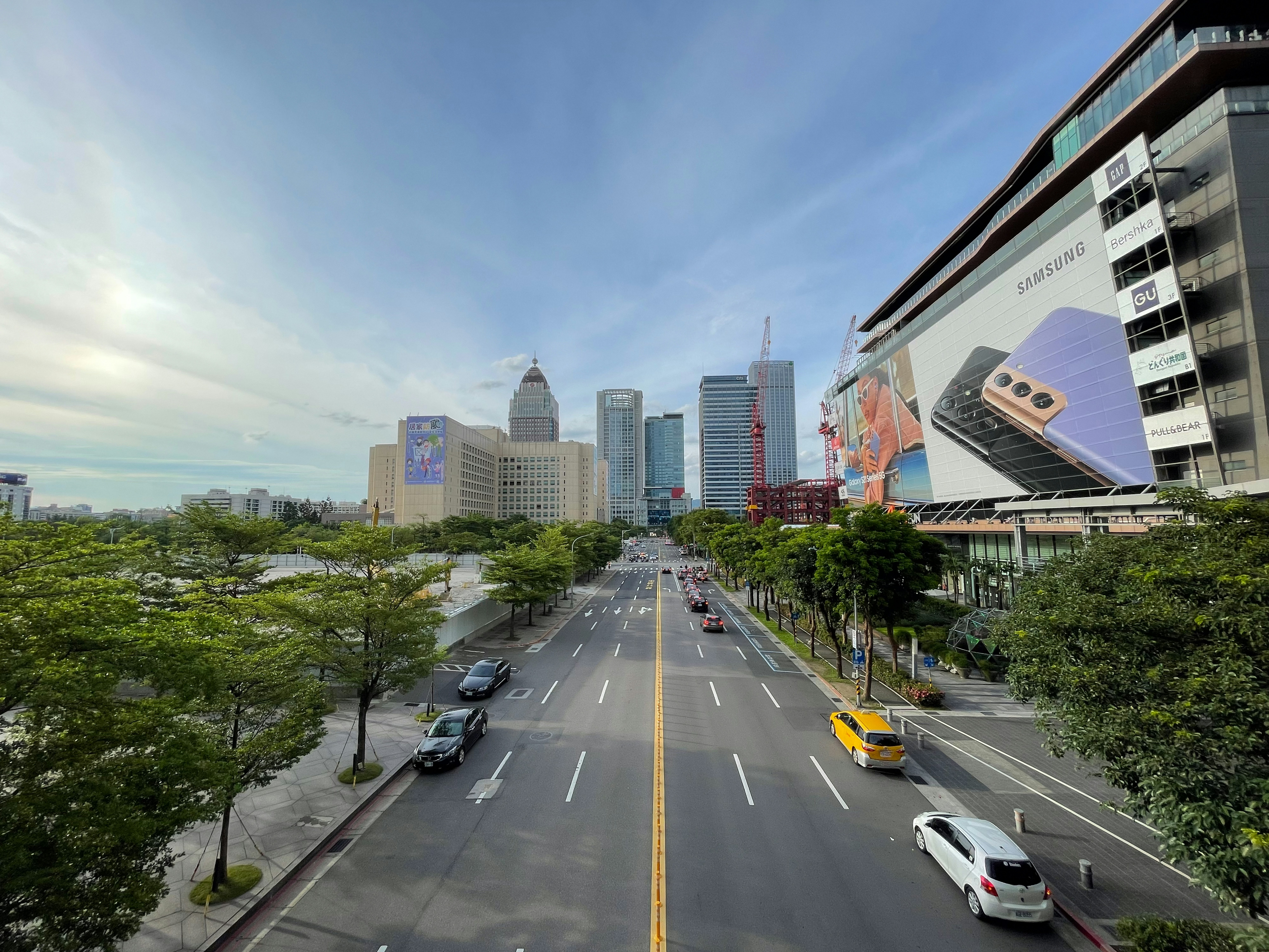 Urban Boulevard: Morning Commute Beneath Glass and Green